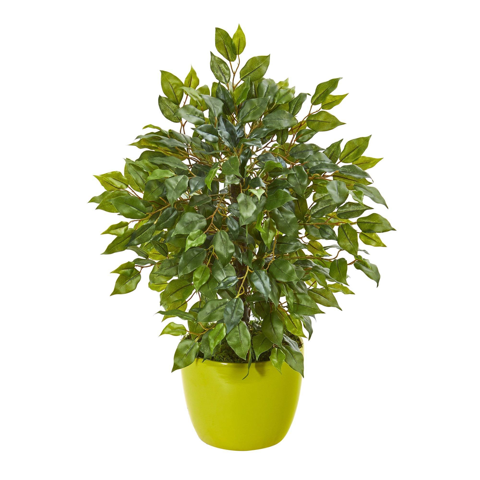 16” Mini Ficus Artificial Tree in Green Planter | Nearly Natural