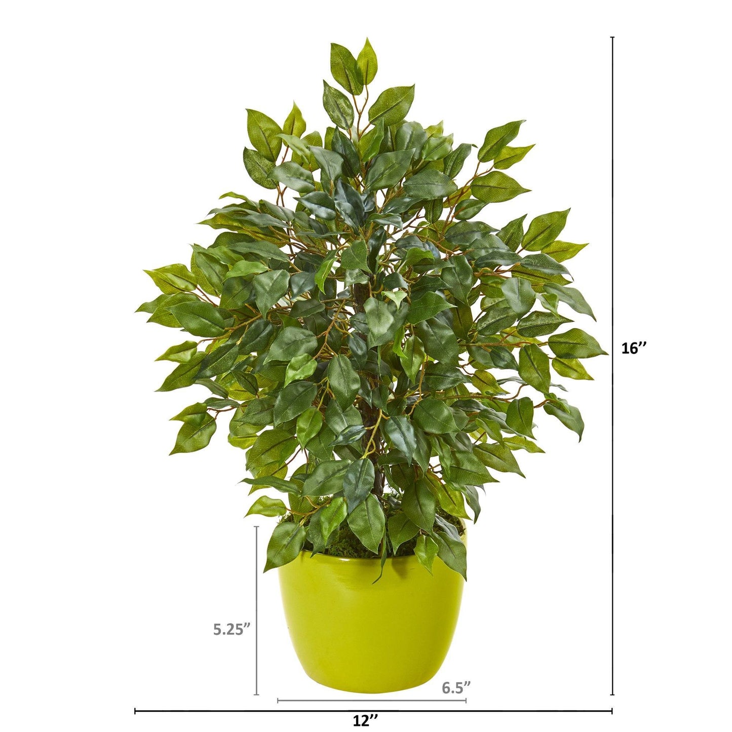 16” Mini Ficus Artificial Tree in Green Planter | Nearly Natural