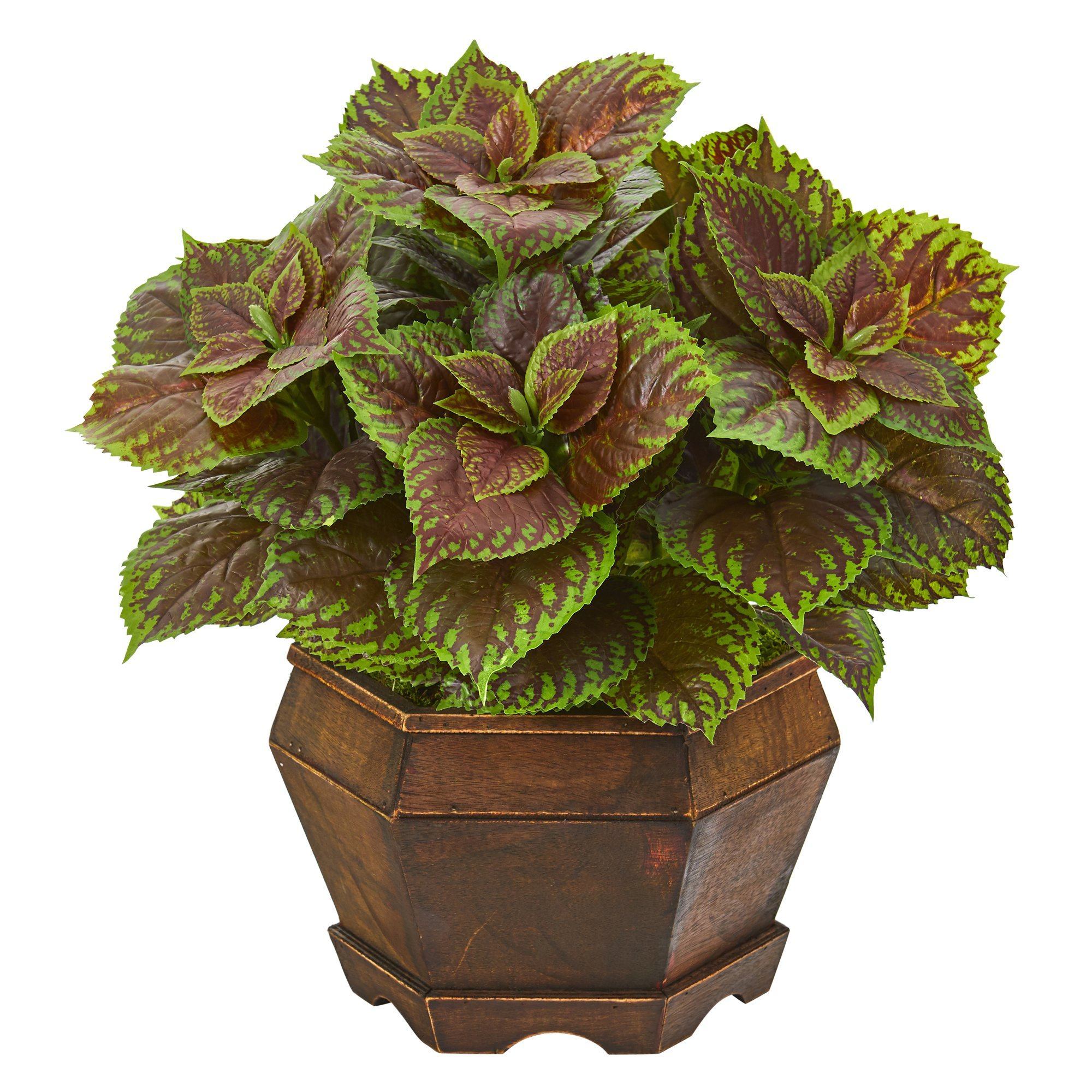 17” Coleus Artificial Plant in Decorative Planter (Real Touch) | Nearly ...