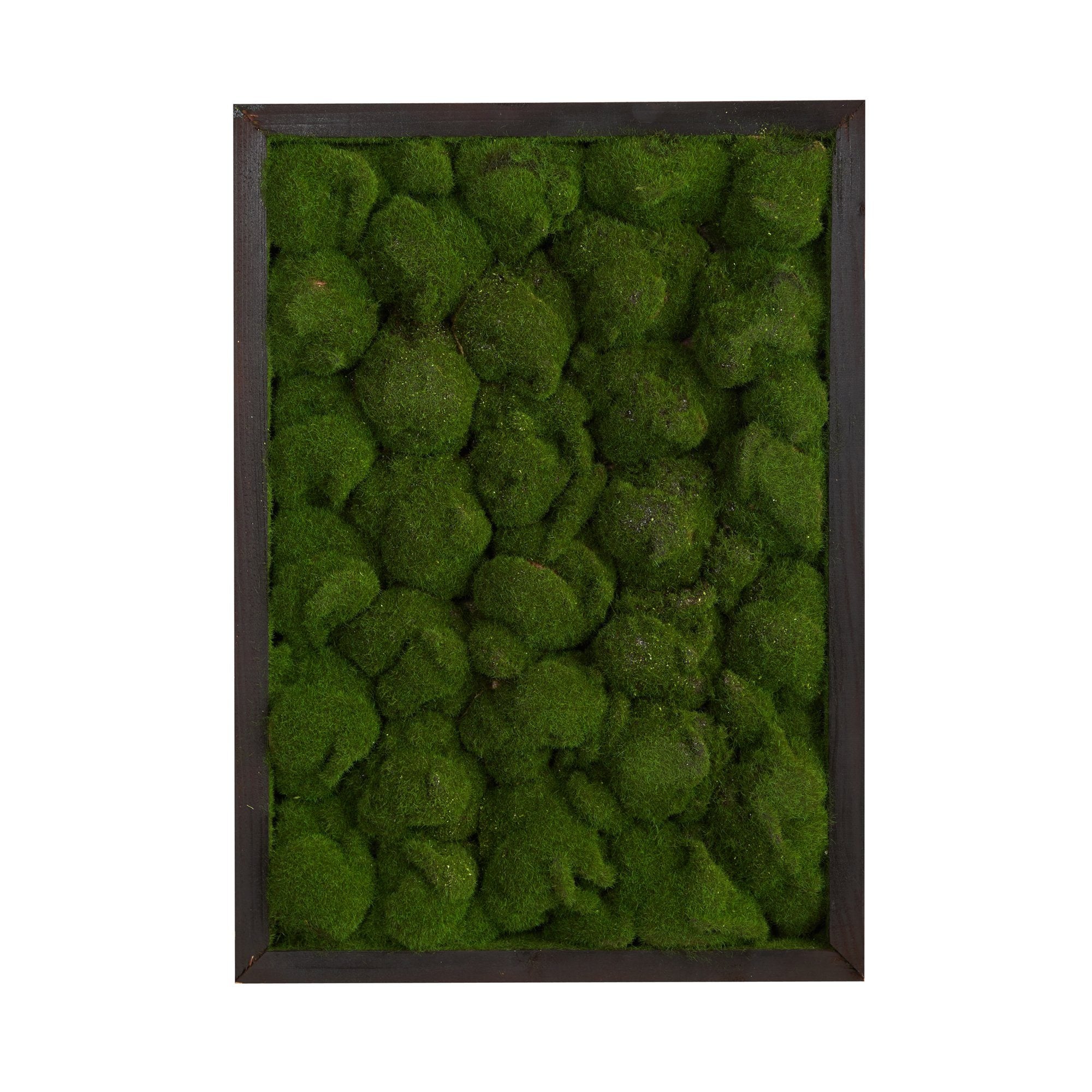 17” X 24” Artificial Moss Hanging Frame | Nearly Natural