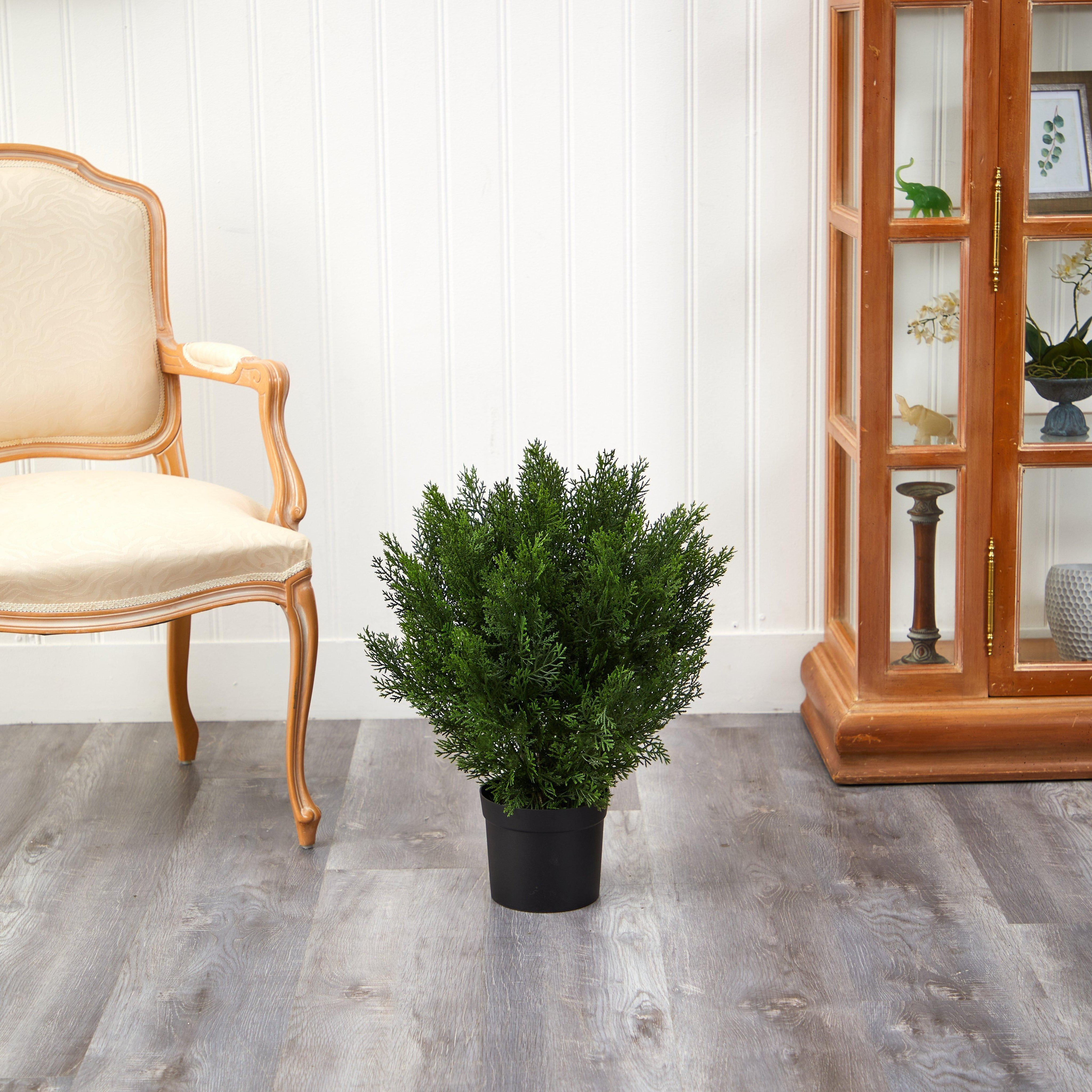 2’ Cedar Bush (Indoor/Outdoor) | Nearly Natural
