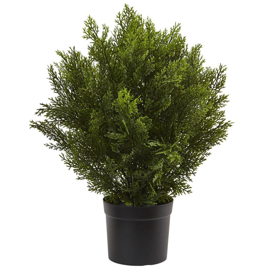 2’ Cedar Bush (Indoor/Outdoor) | Nearly Natural