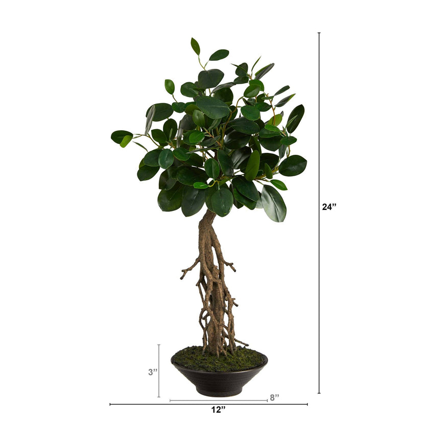 Shop Now Lifelike Artificial Bonsai Trees – Nearly Natural