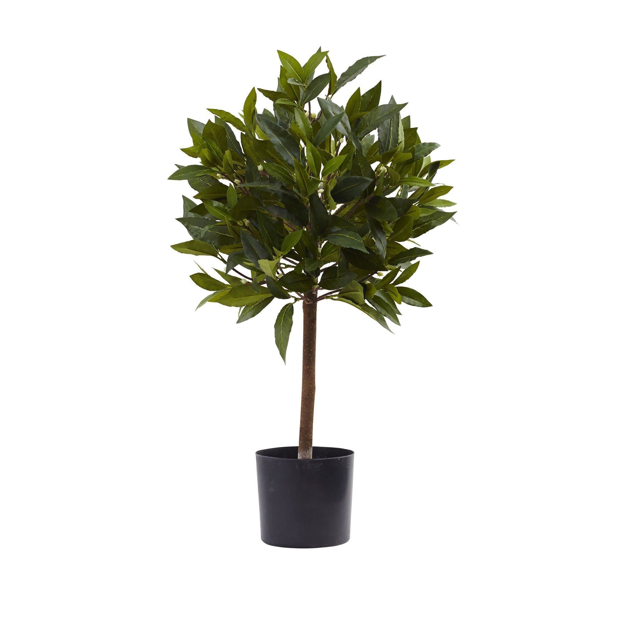 2' Sweet Bay Mini Ball Topiary | Nearly Natural