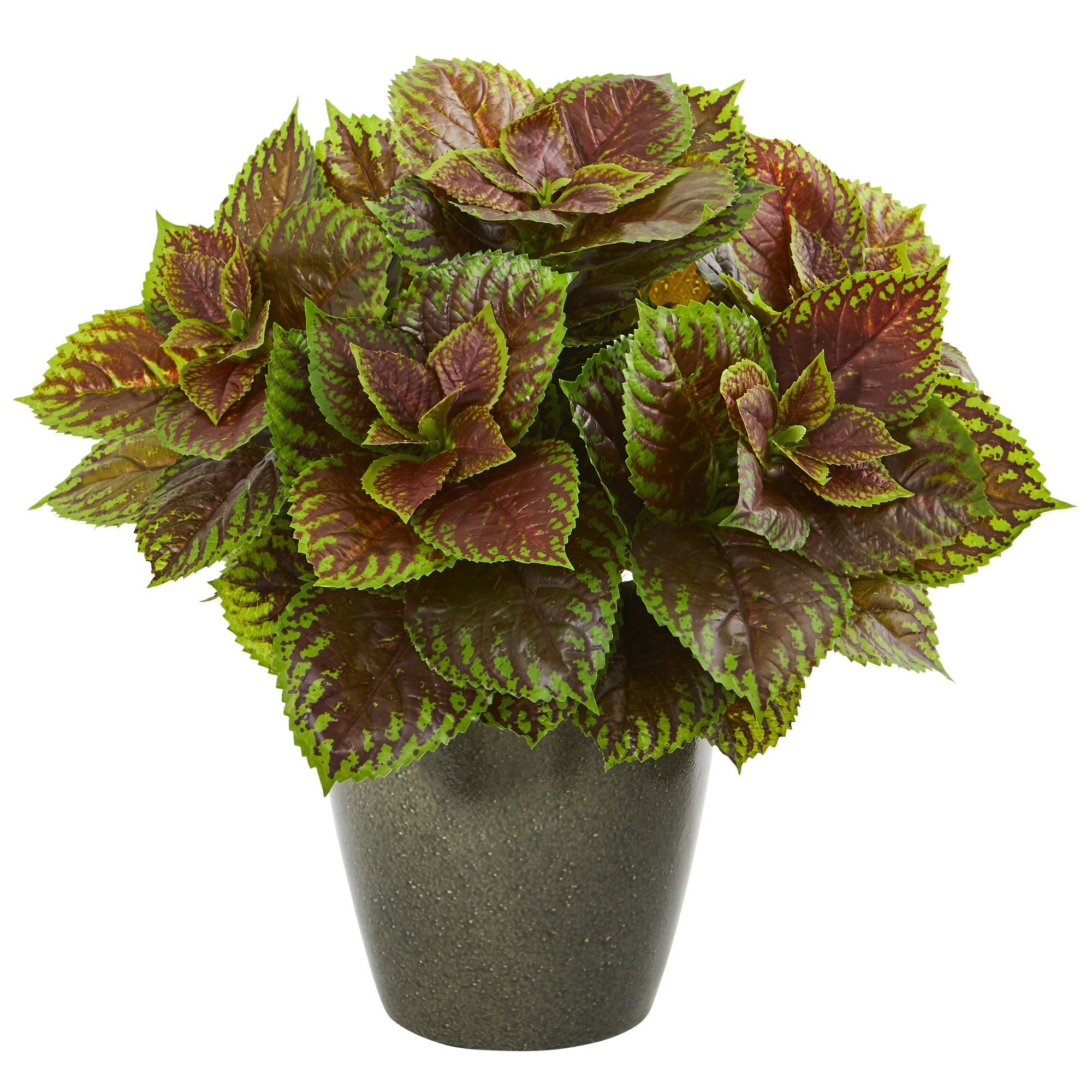 20” Coleus Artificial Plant in Green Planter (Real Touch) | Nearly Natural