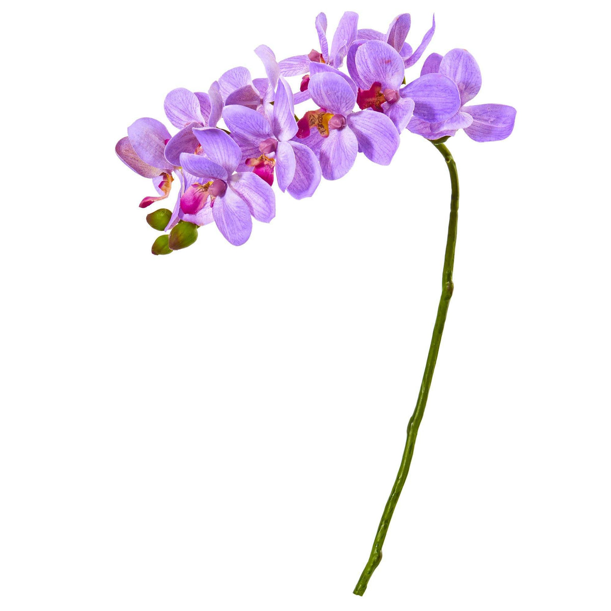 Artificial Orchids | Silk Orchids | Nearly Natural