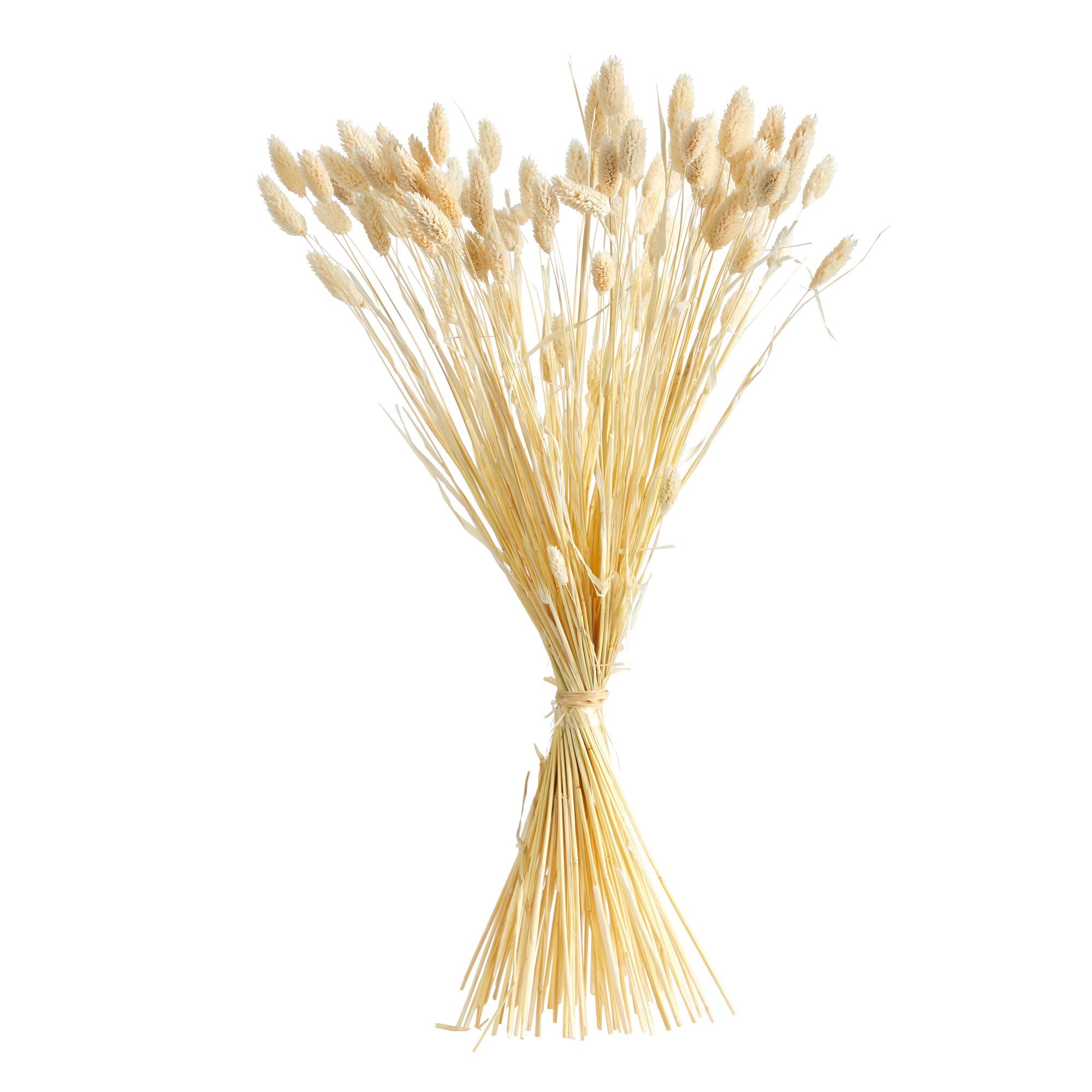 22” Dried Wheat Stalks Artificial Flower (Set of 2) | Nearly Natural