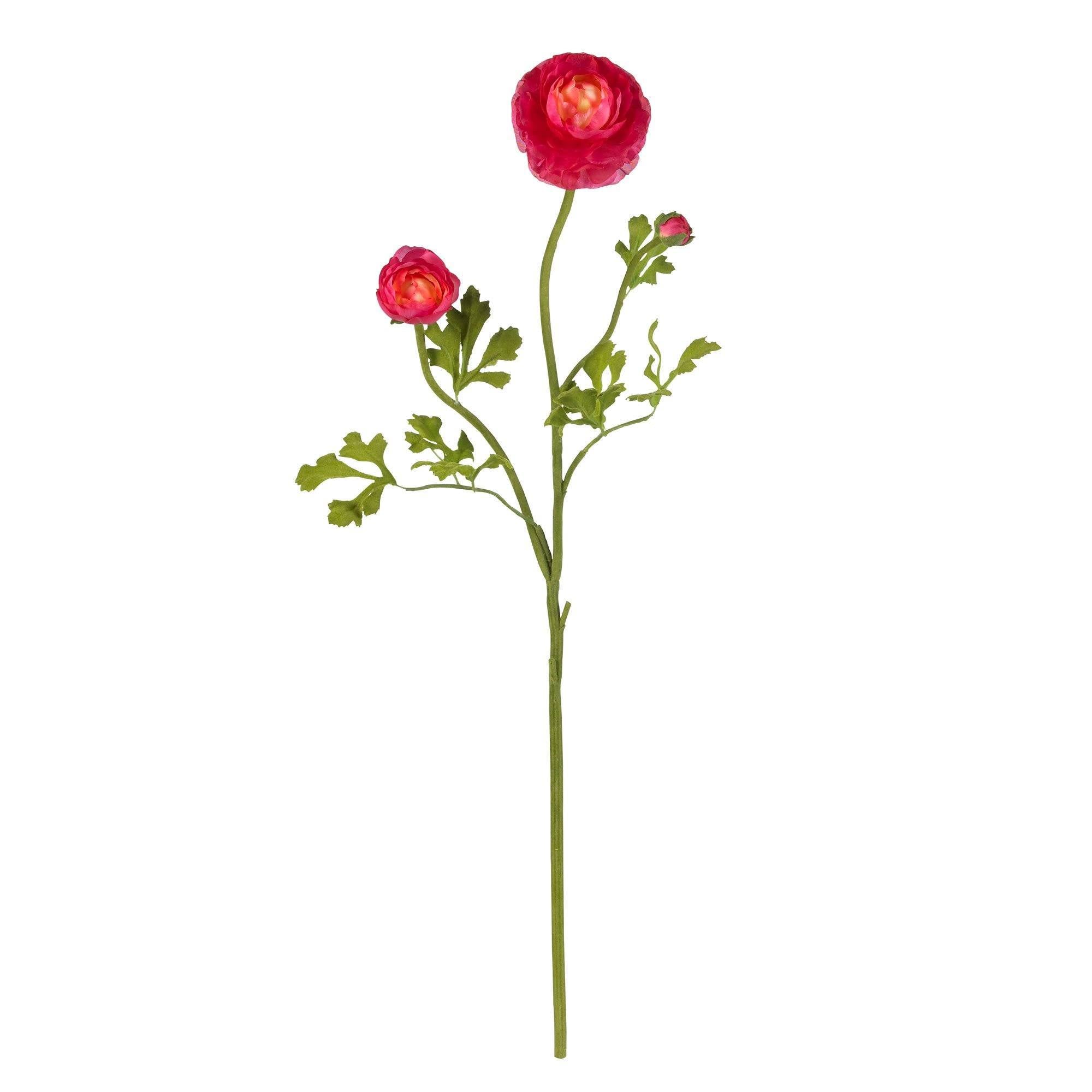 23" Ranunculus Stem (Set of 12) 2108 Nearly Natural"