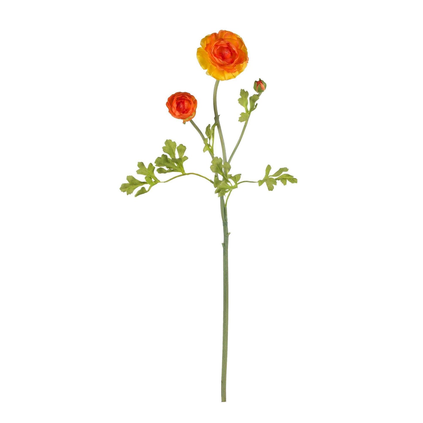23" Ranunculus Stem (Set of 12) 2108 Nearly Natural"