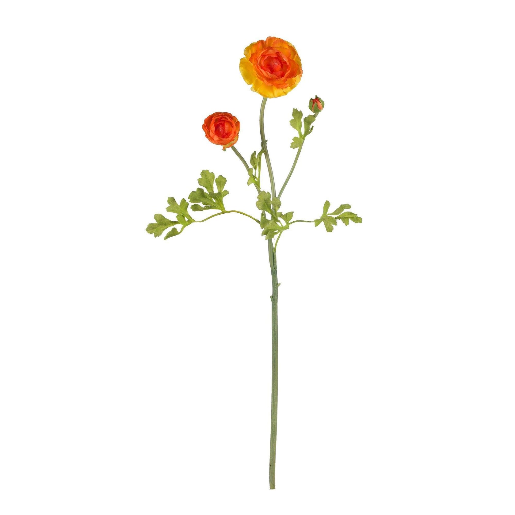 23" Ranunculus Stem (Set of 12) 2108 Nearly Natural"