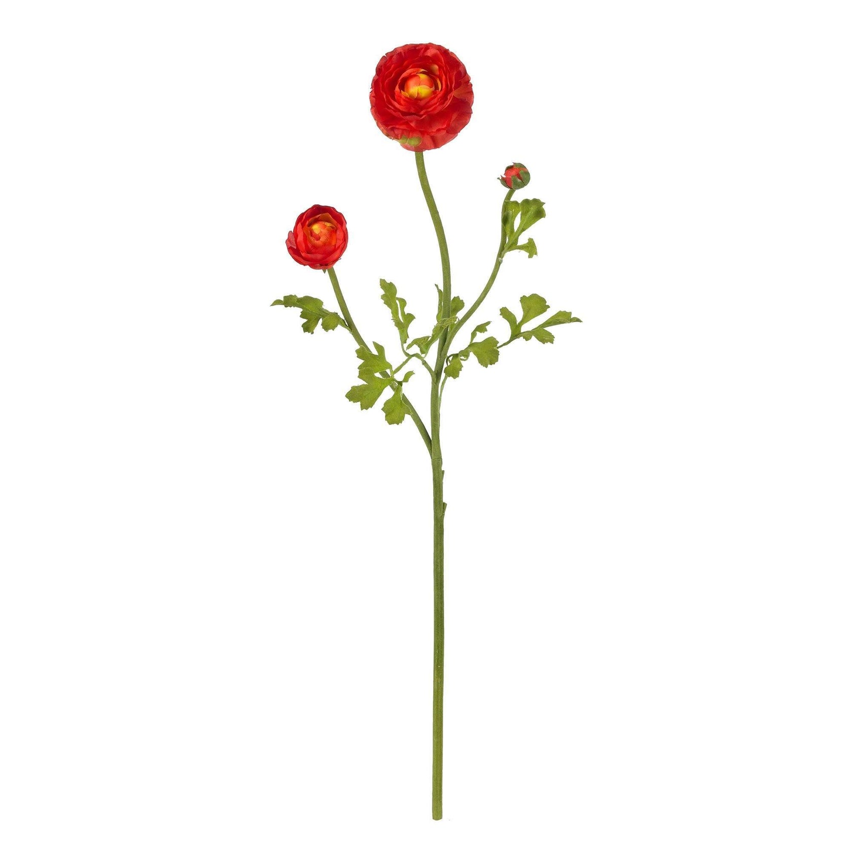 23" Ranunculus Stem (Set of 12) 2108 Nearly Natural"