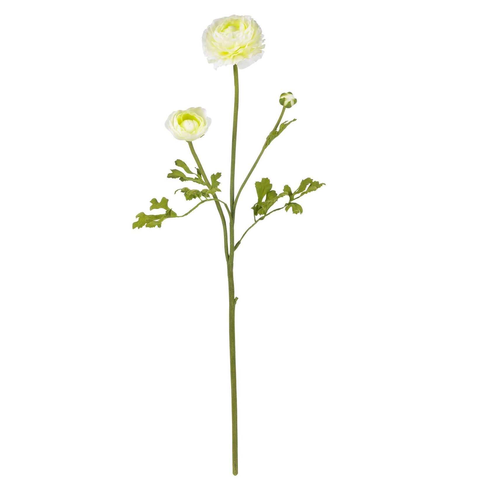 23" Ranunculus Stem (Set of 12) 2108 Nearly Natural"