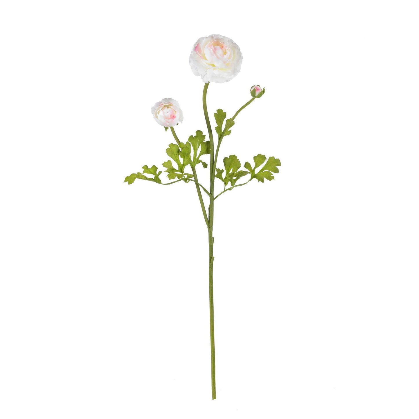 23" Ranunculus Stem (Set of 12) 2108 Nearly Natural"