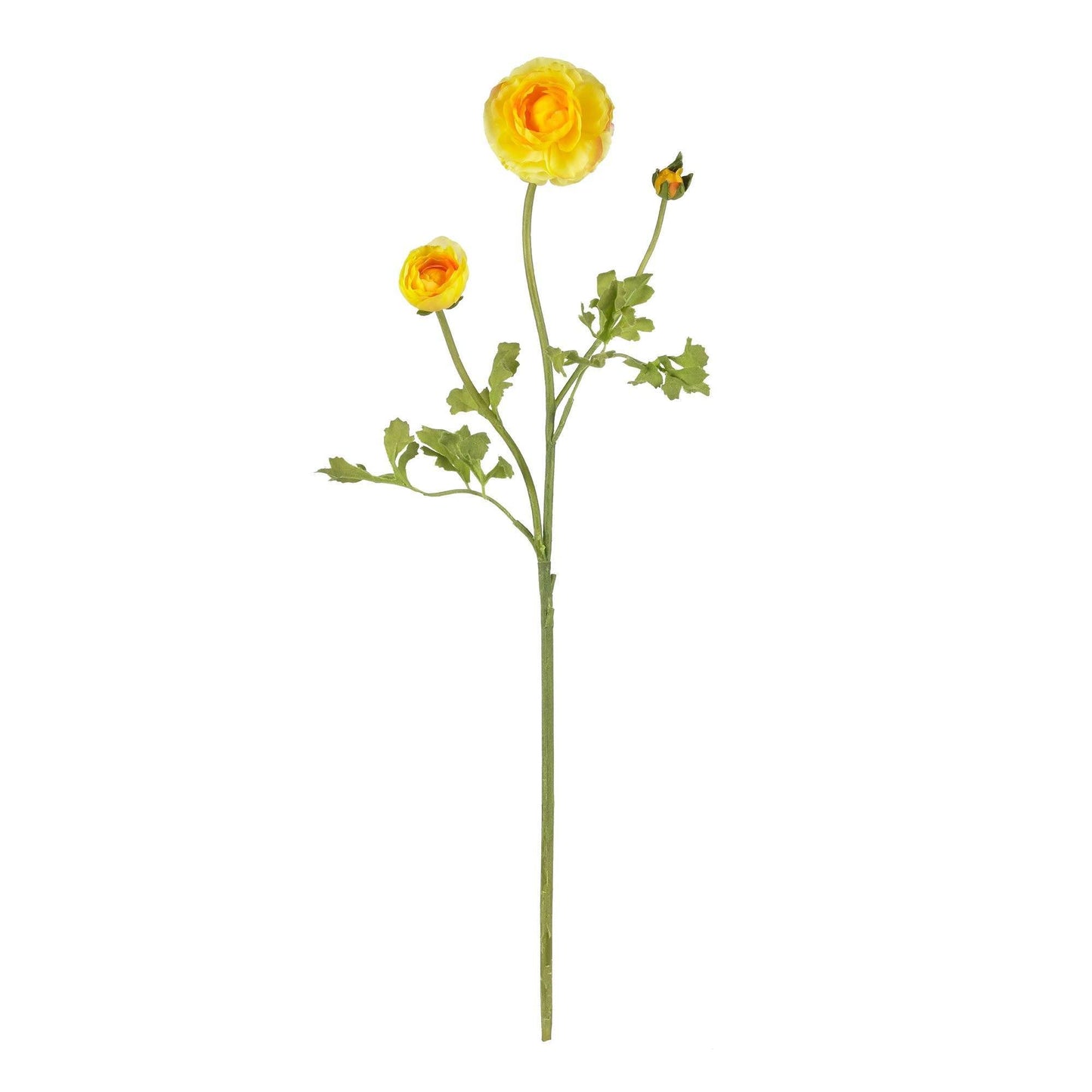 23" Ranunculus Stem (Set of 12) 2108 Nearly Natural"