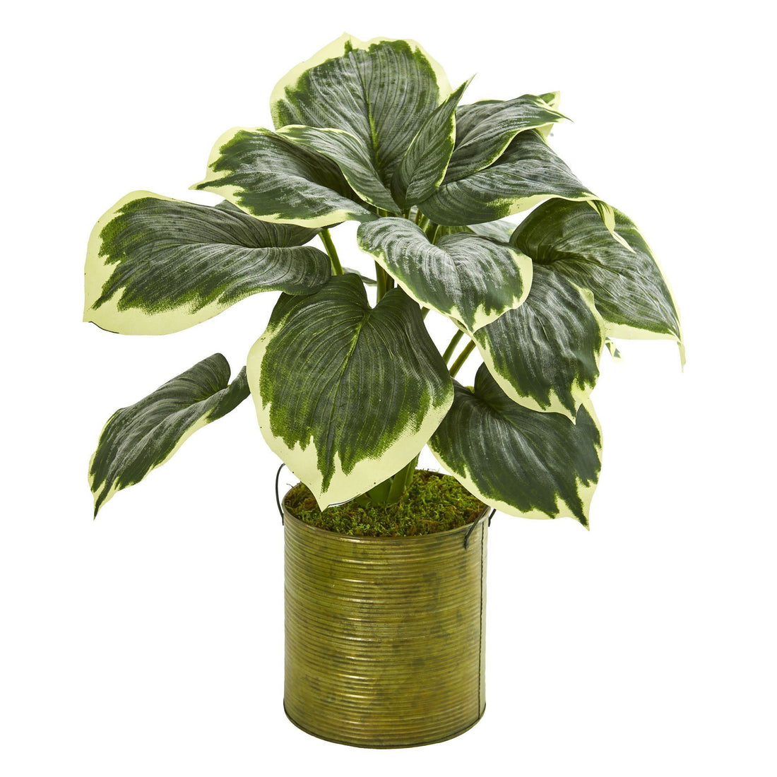 23” Variegated Hosta Artificial Plant in Metal Planter | Nearly Natural