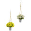 24” Daisy Artificial Arrangement in Hanging Bucket (Set of 2) | Nearly ...