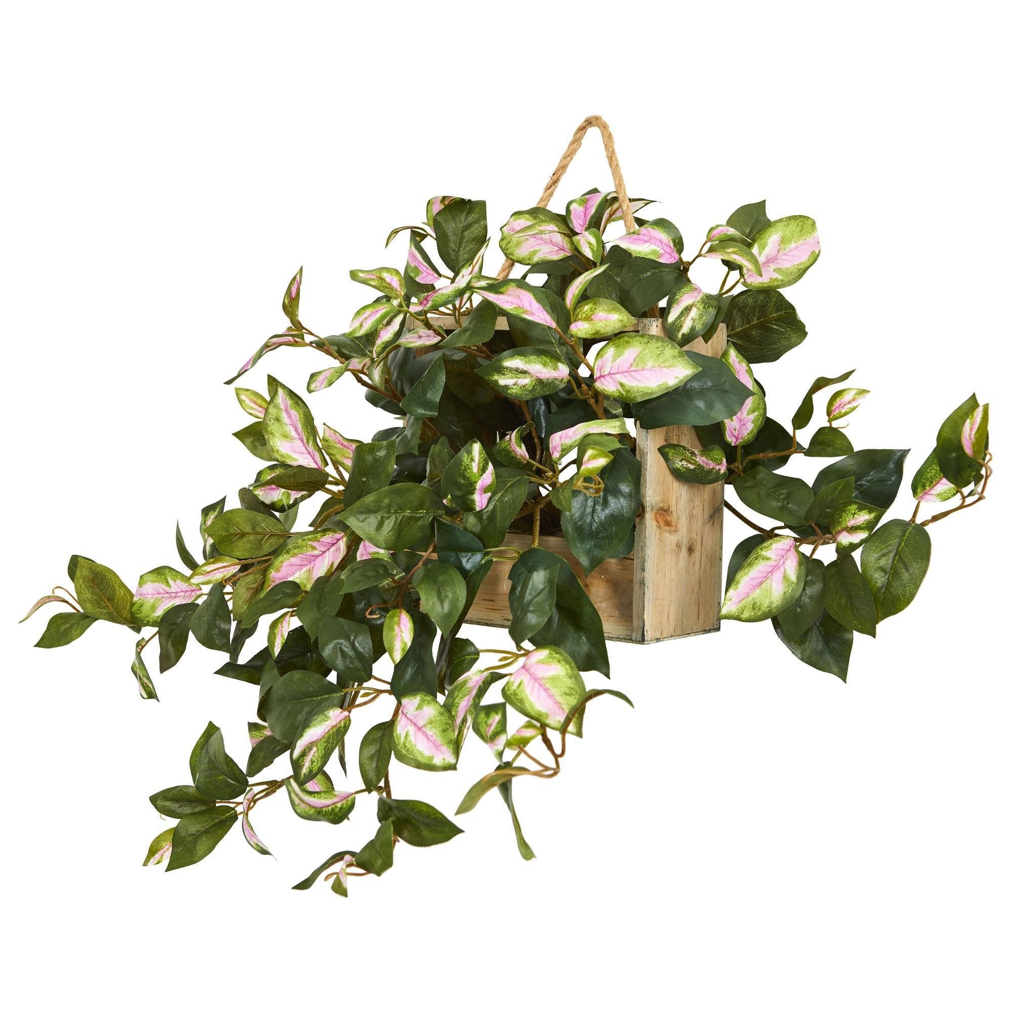 24” Hoya Artificial Plant in Decorative Hanging Frame | Nearly Natural