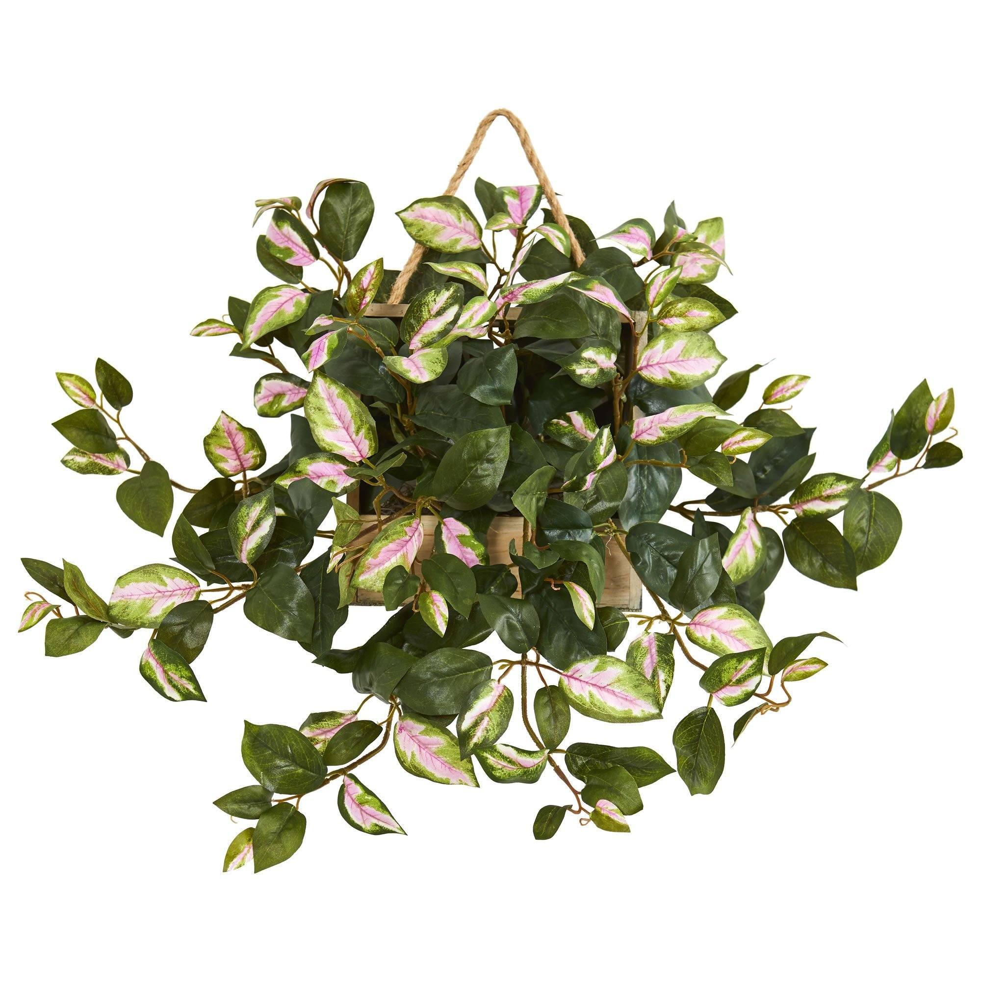 24” Hoya Artificial Plant in Decorative Hanging Frame | Nearly Natural