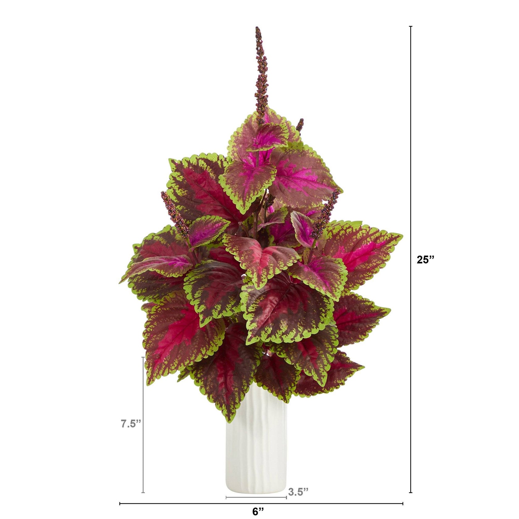 25” Coleus Artificial Plant Artificial Plant in White Planter | Nearly ...