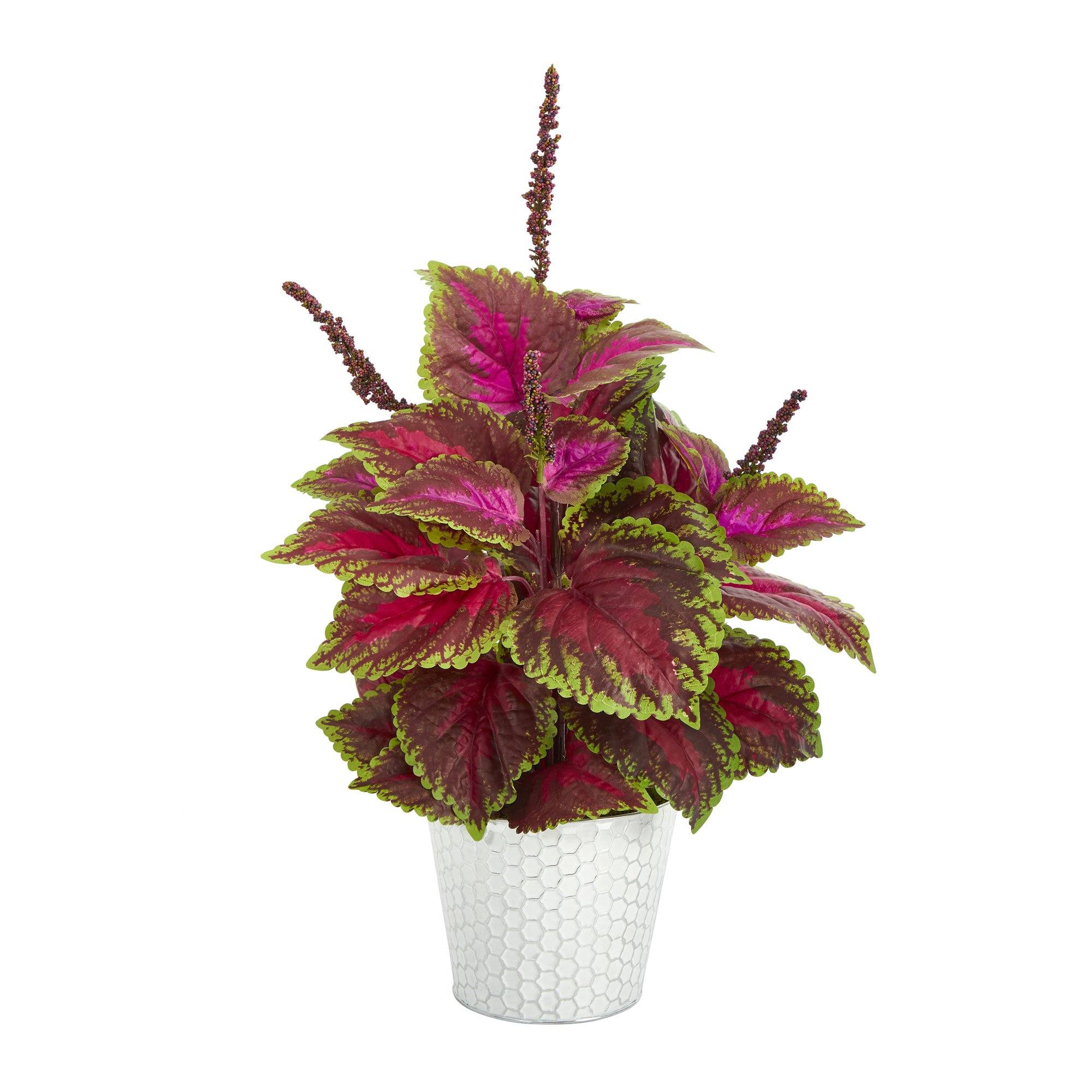 25” Coleus Artificial Plant in Embossed White Planter | Nearly Natural