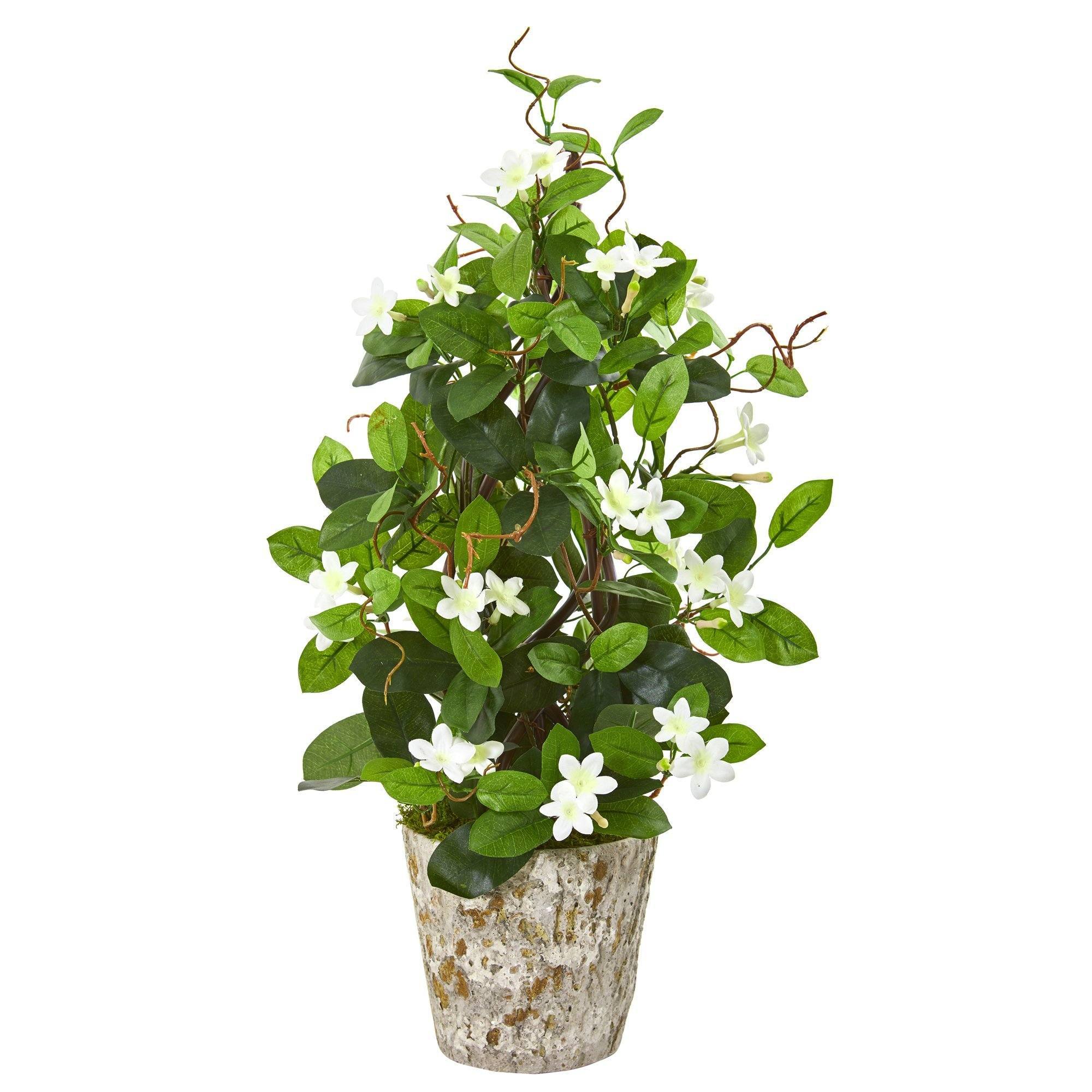 25” Stephanotis Artificial Climbing Plant in Weathered Planter | Nearly ...