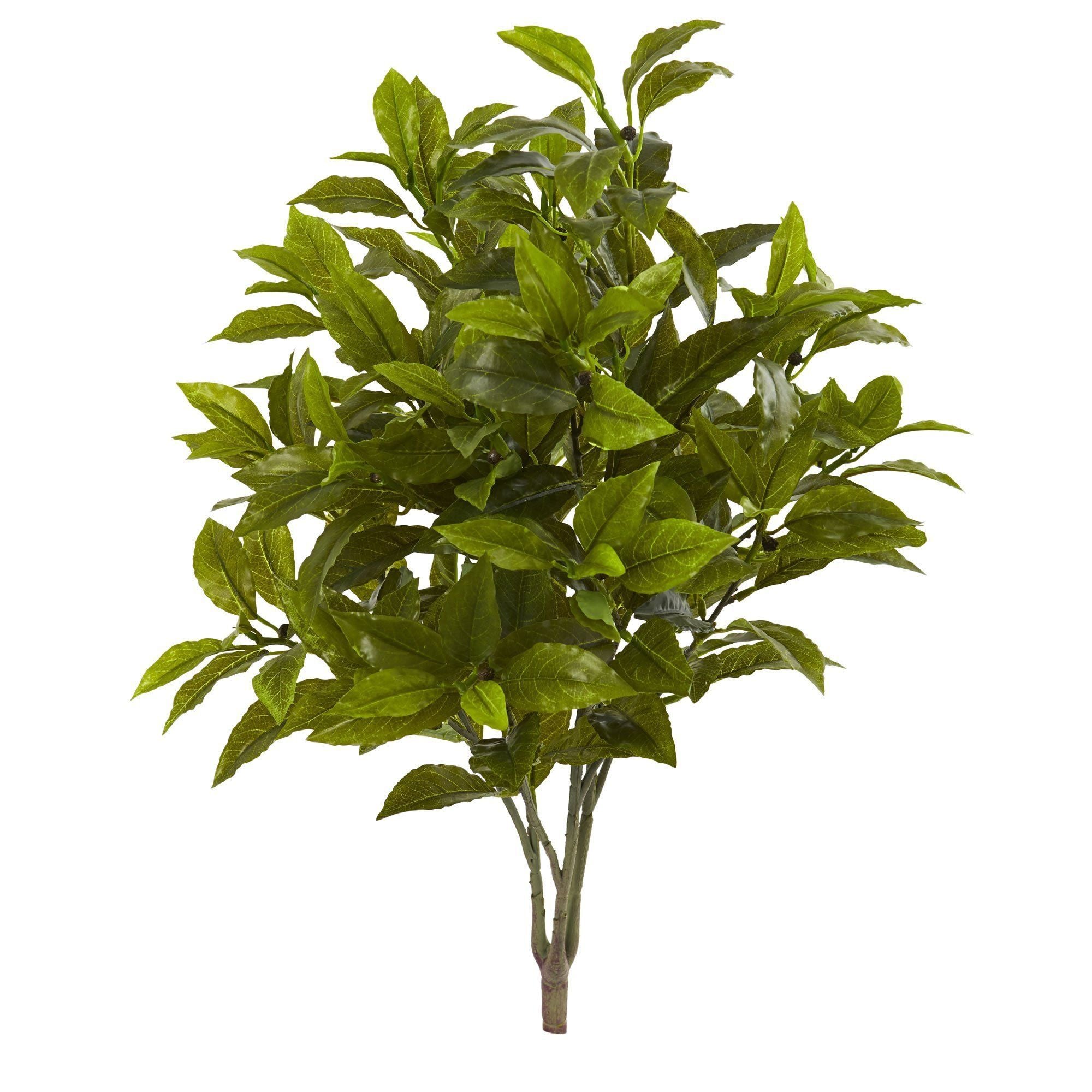 26” Coffee Leaf Artificial Plant (Set of 2) (Real Touch) | Nearly Natural