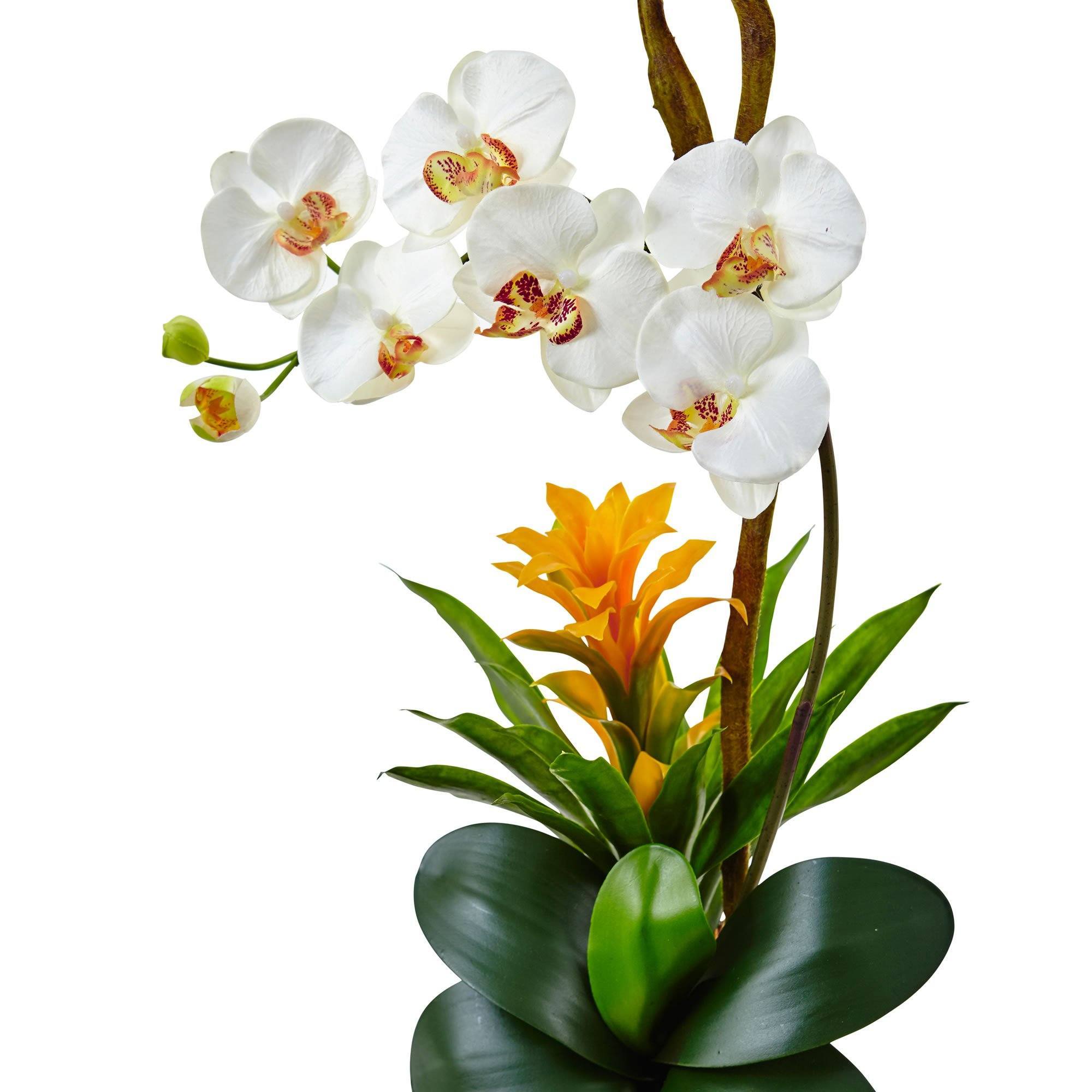 Orchid and Bromeliad in Glossy Black Cylinder | Nearly Natural