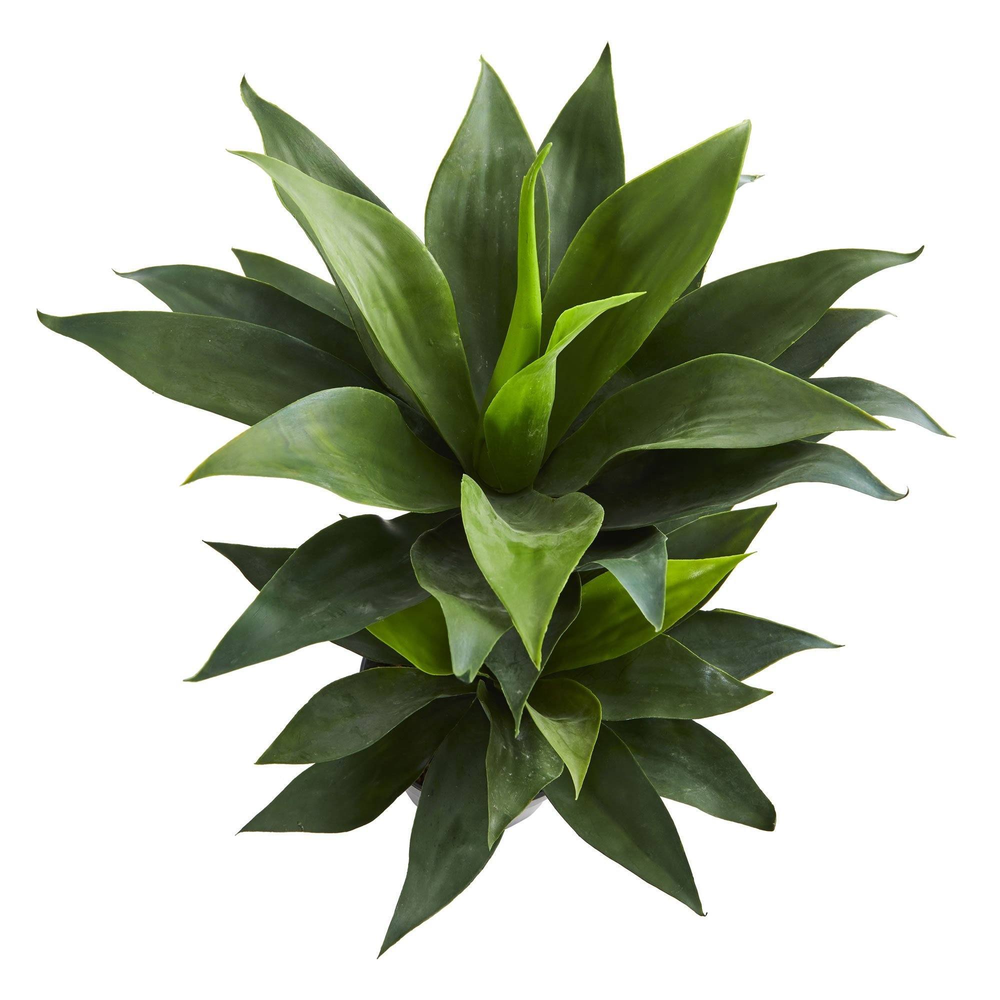 29” Double Agave Succulent Artificial Plant | Nearly Natural
