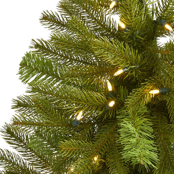 3' Cambridge Spruce Flat Back Artificial Christmas Tree with 50 Warm ...