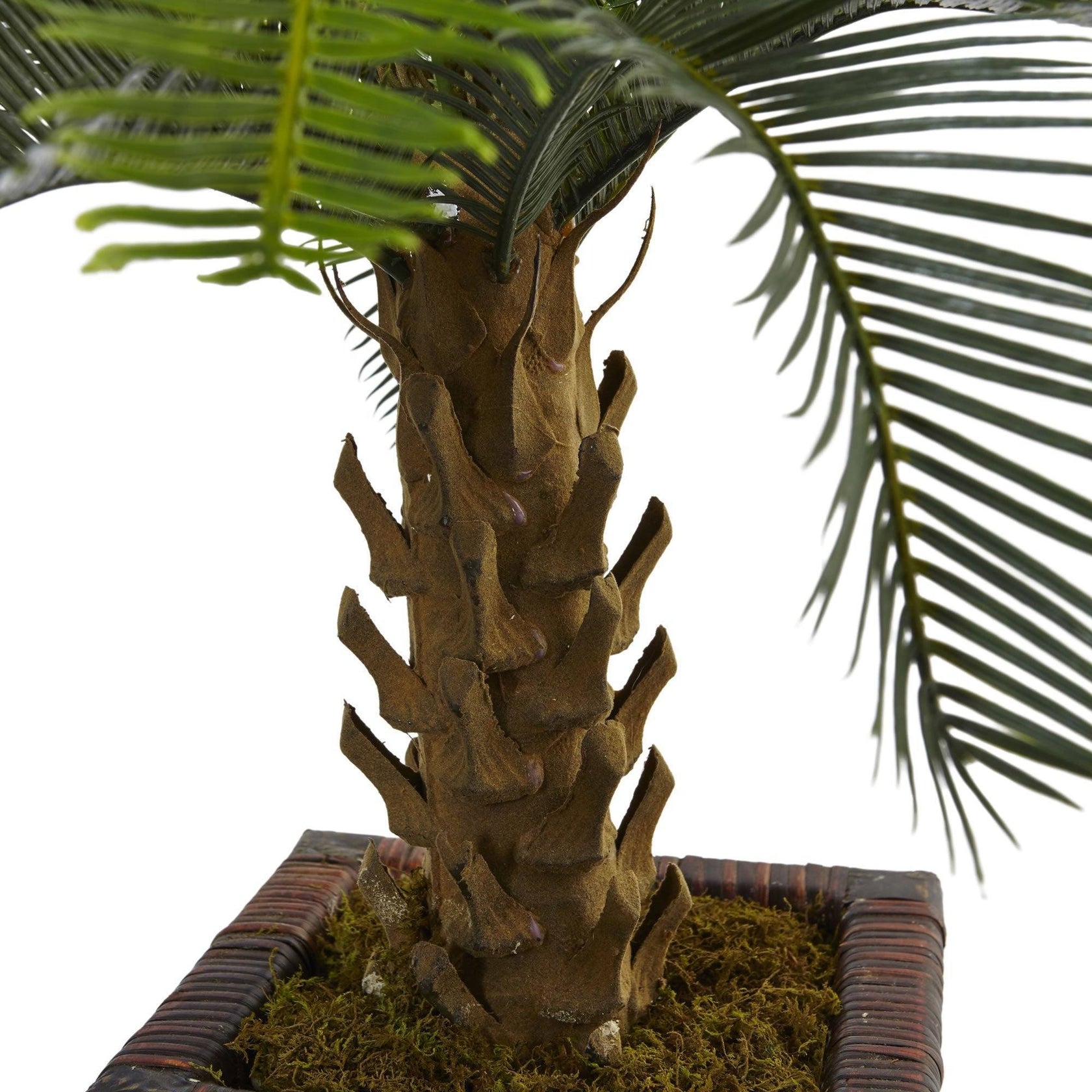 3’ Cycas Tree in Wood Planter | Nearly Natural