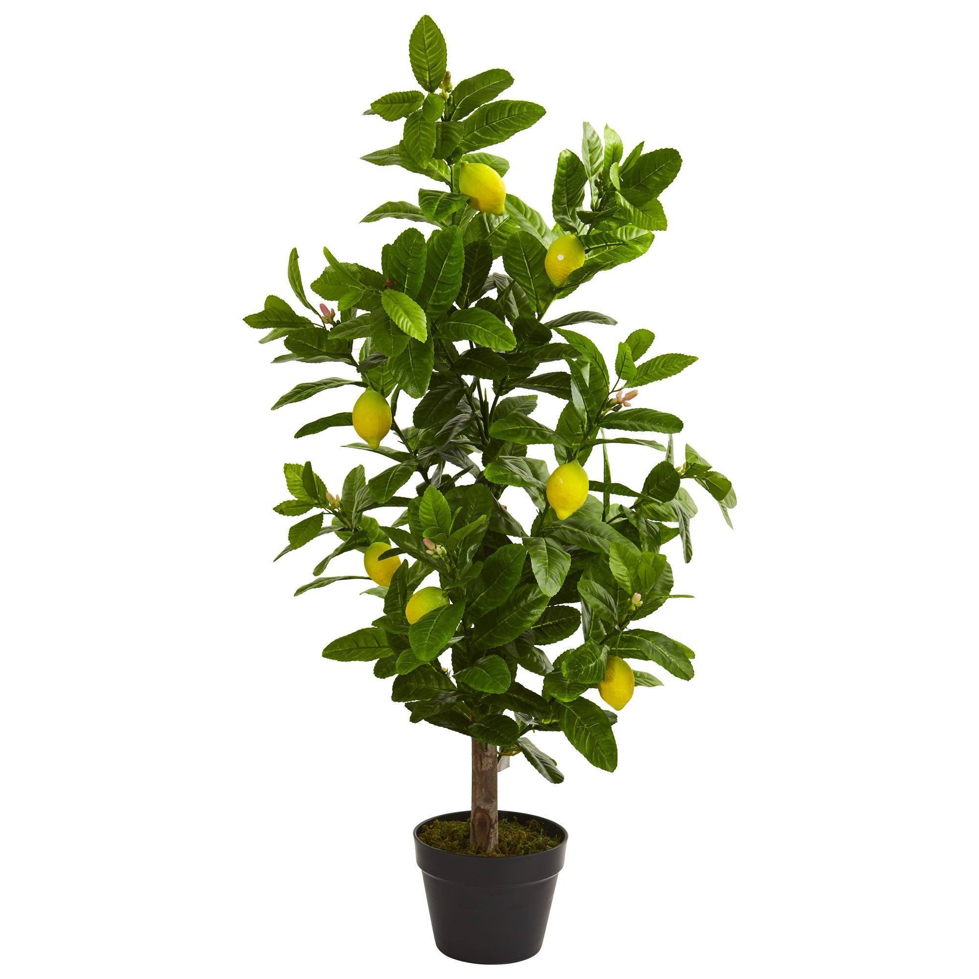 3’ Lemon Artificial Tree | Nearly Natural