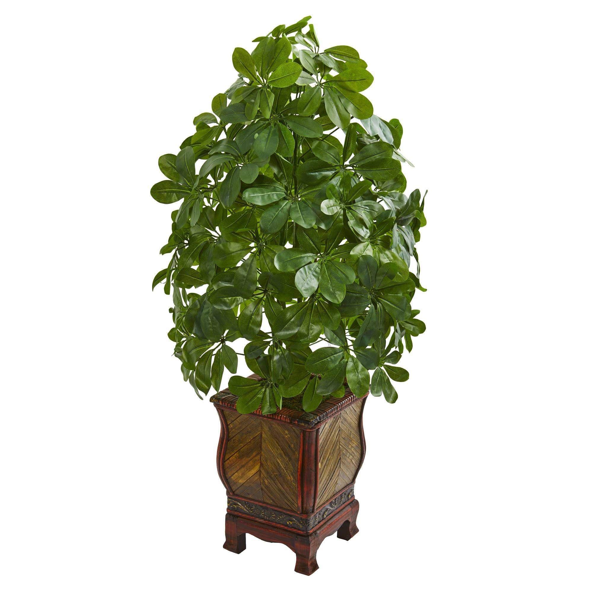 3' Schefflera Artificial Plant in Decorative Planter (Real Touch ...
