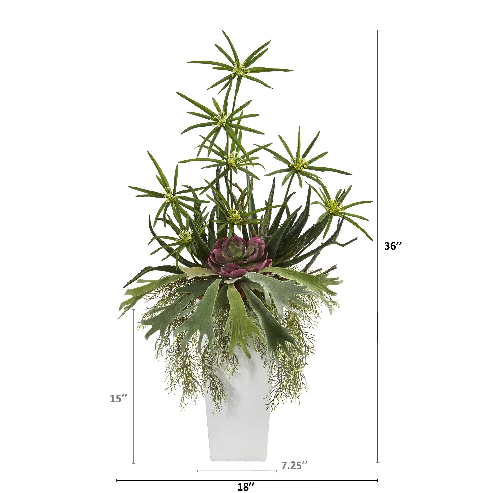 3’ Staghorn, Succulent and Cyperus Artificial Plant in White Planter ...