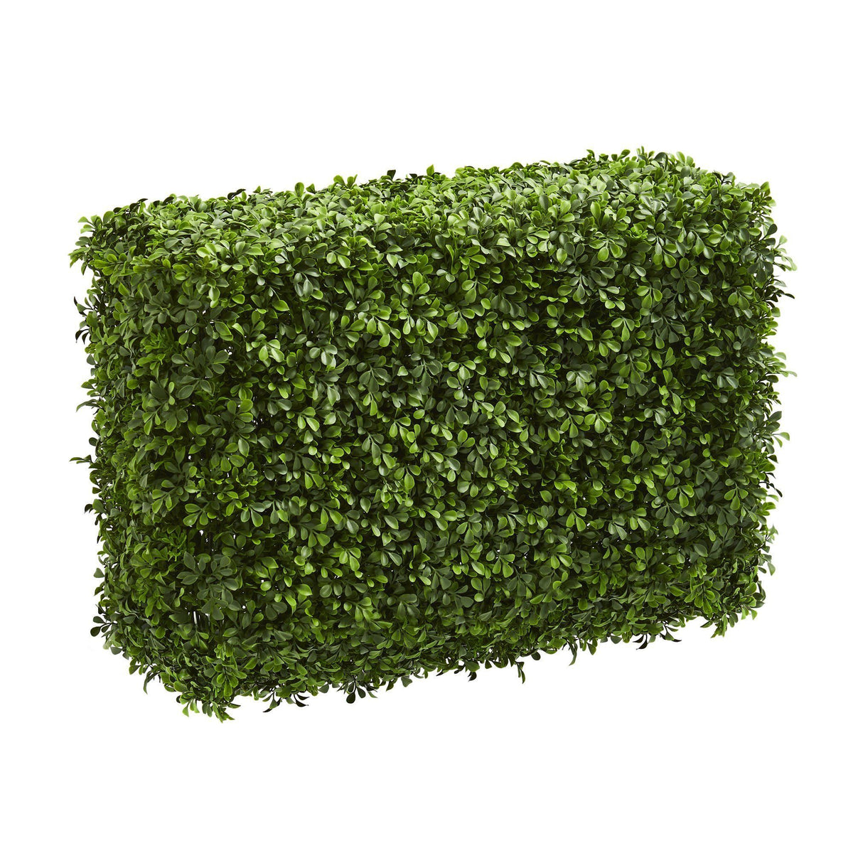 Silk Hedge Plants | Artificial Plant Walls | Nearly Natural