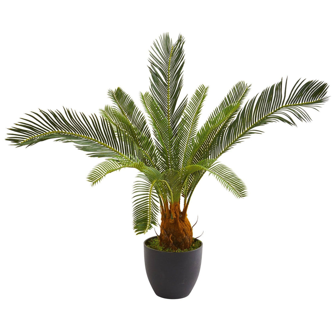 32” Cycas Artificial Plant | Nearly Natural