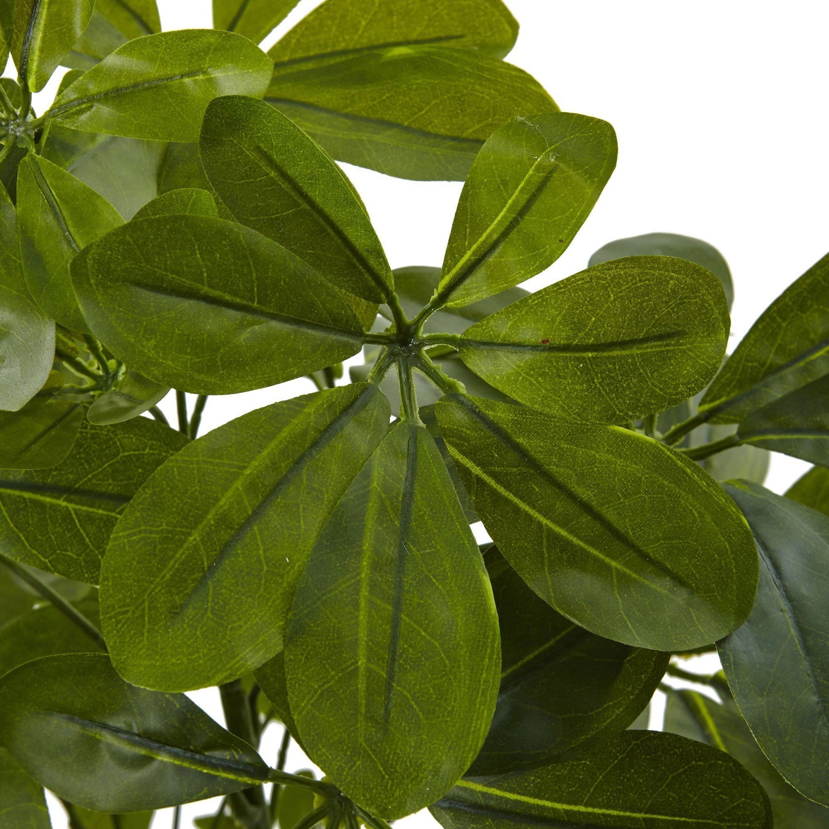 32’’ Green Baby Schefflera Artificial Plant (Real Touch) (Set of 2 ...