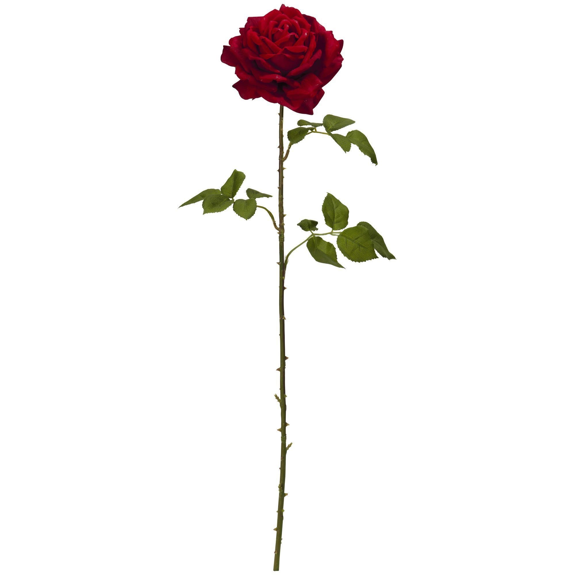 Single Red Rose With Stem