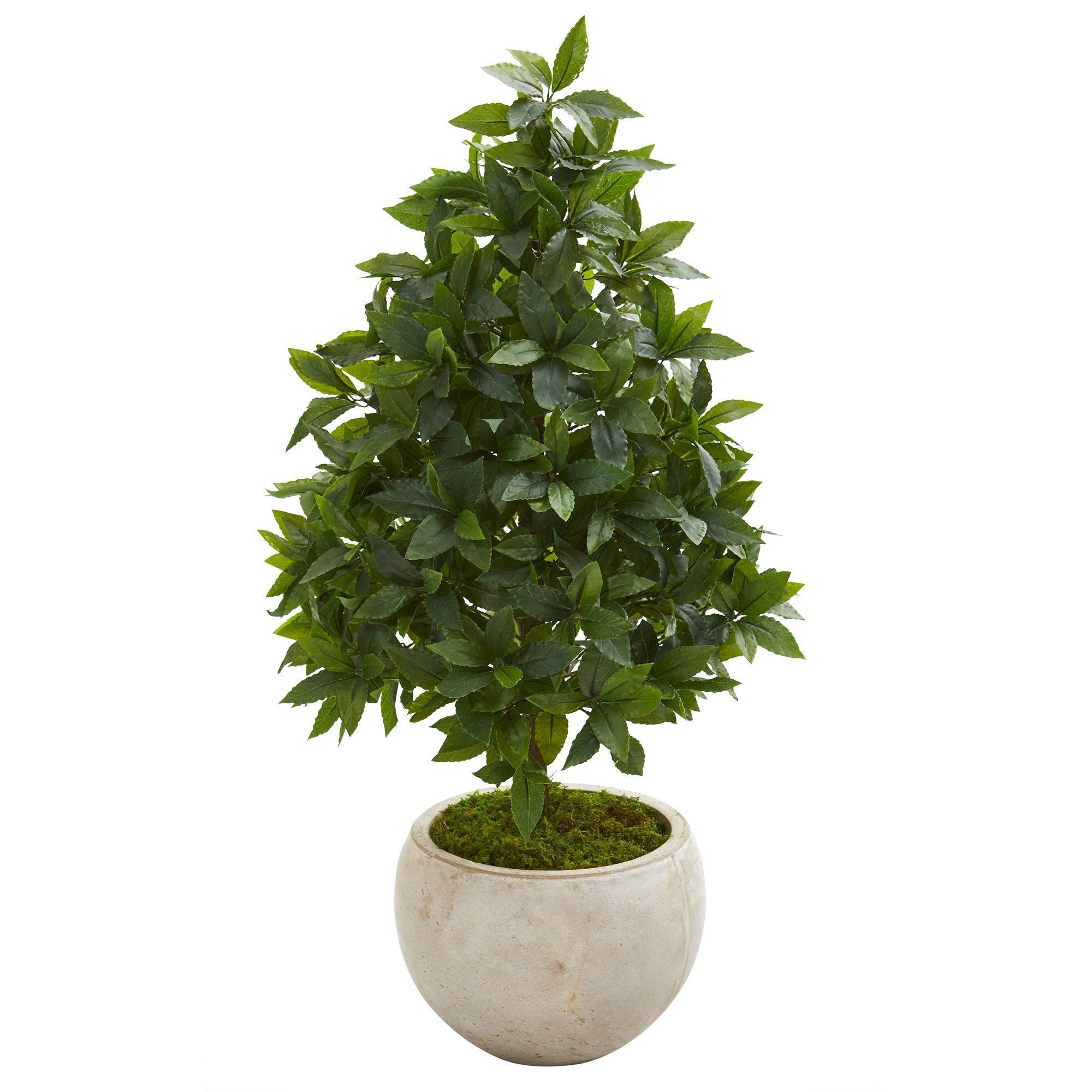 33” Sweet Bay Cone Topiary Artificial Tree in Sand Colored Planter ...