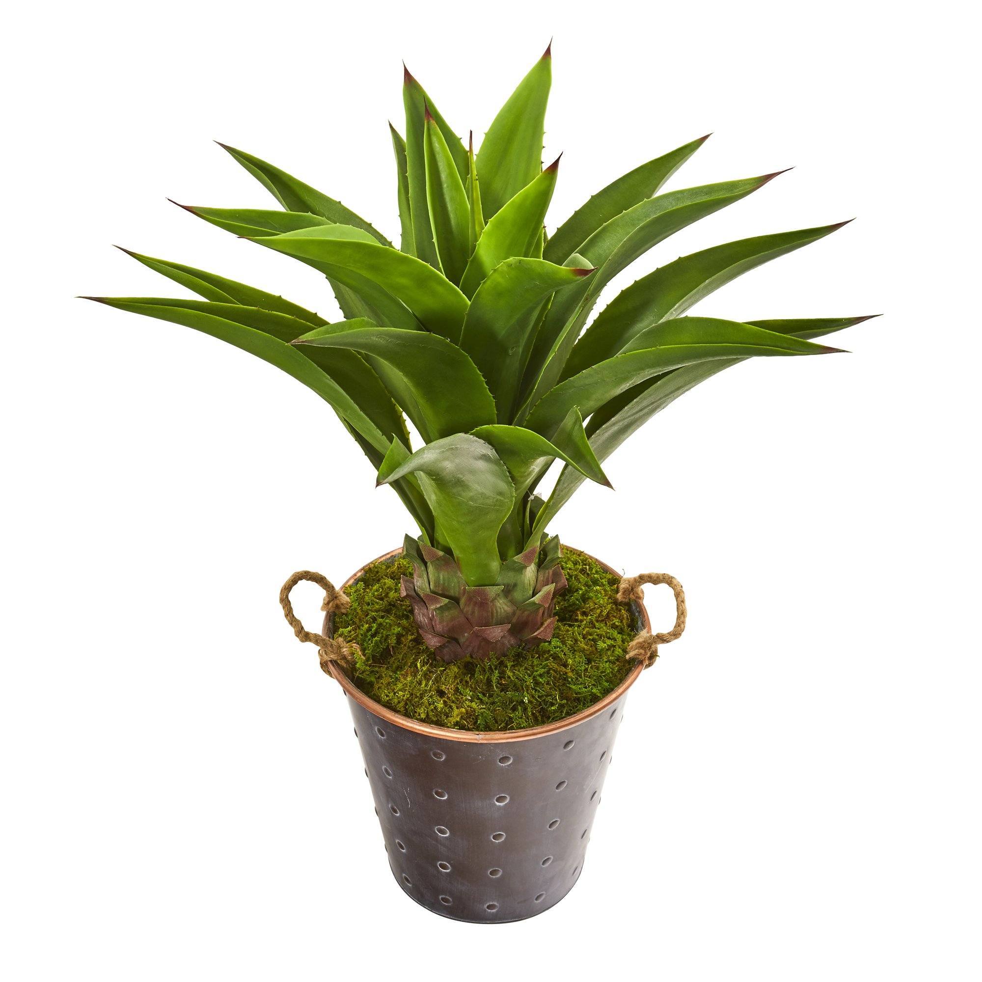 34” Agave Artificial Plant in Decorative Metal Pail with Rope | Nearly ...