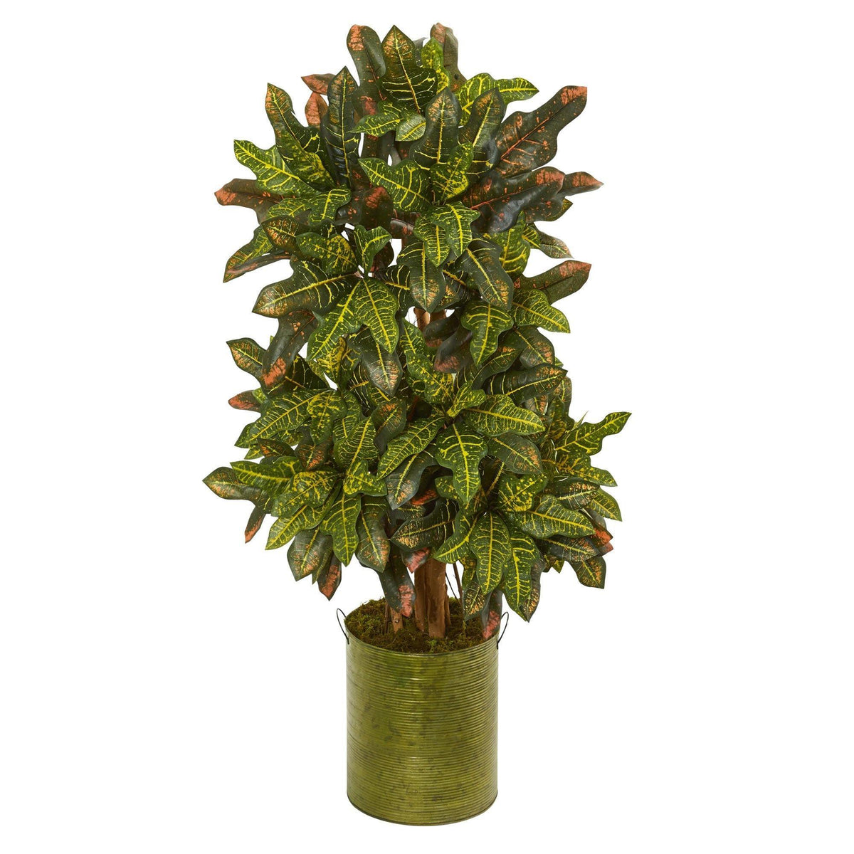 Silk Croton Trees | Artificial Croton Trees | Nearly Natural