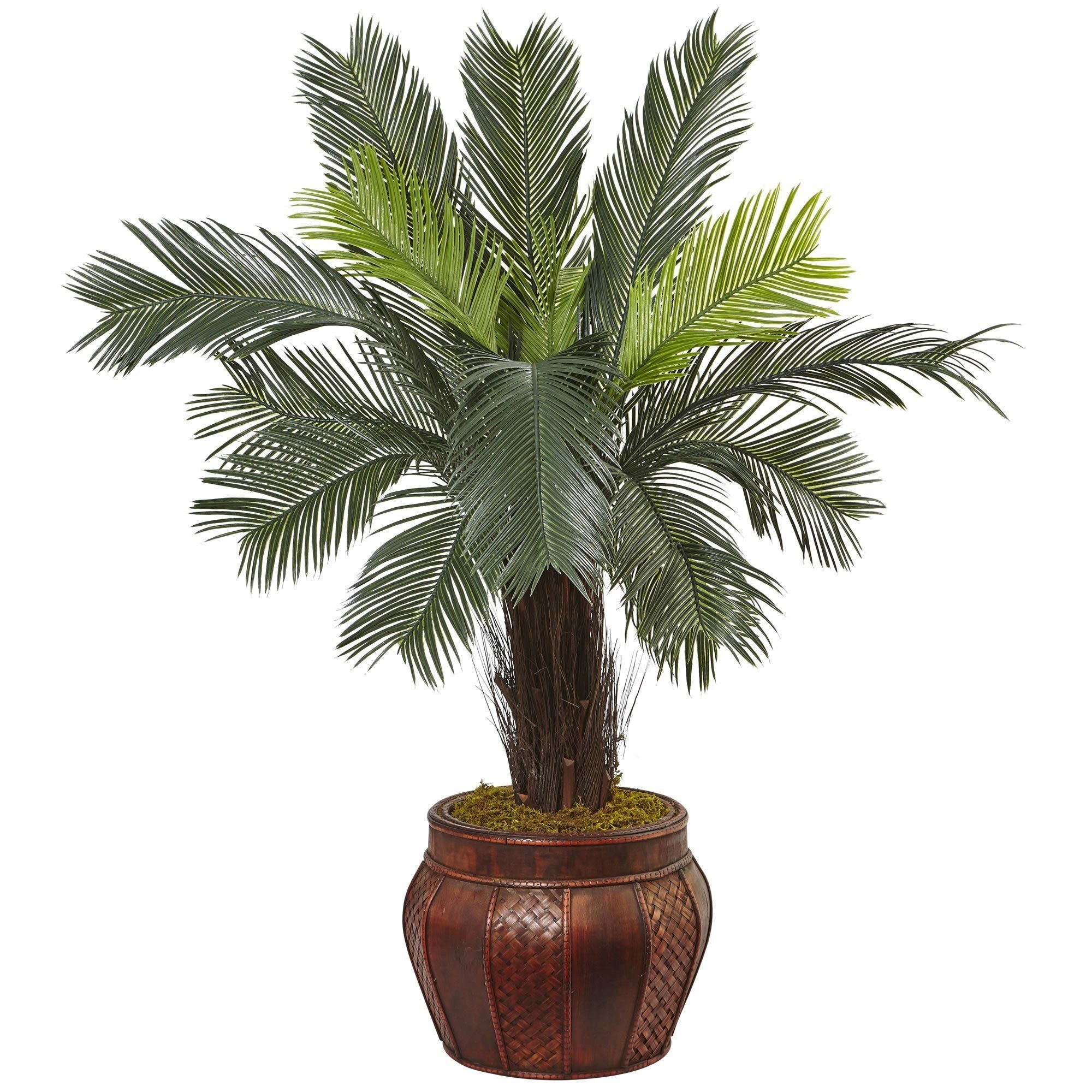 3.5’ Cycas Tree in Wood Planter | Nearly Natural