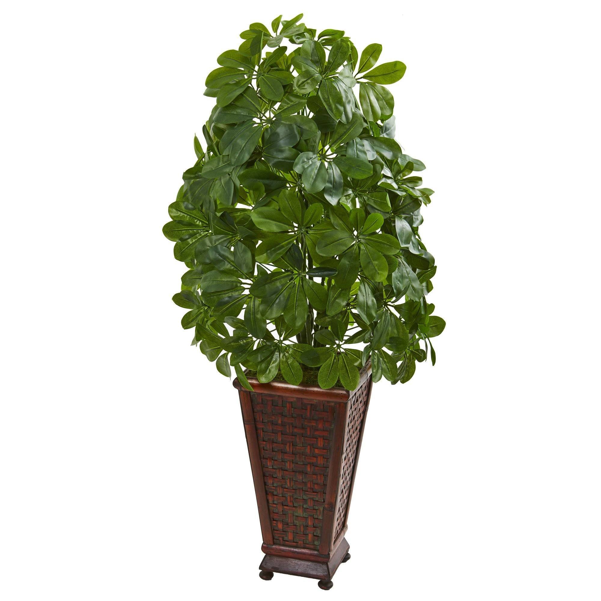 Schefflera Artificial Plant in Decorative Planter (Real Touch) | Nearly ...