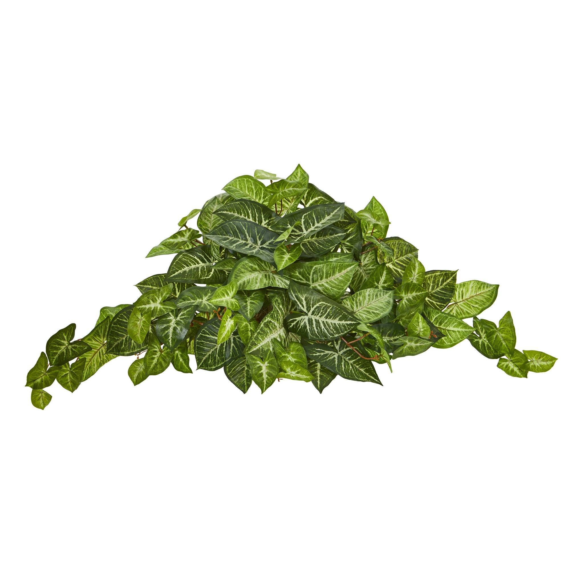 36” Nephthytis Artificial Ledge Plant | Nearly Natural