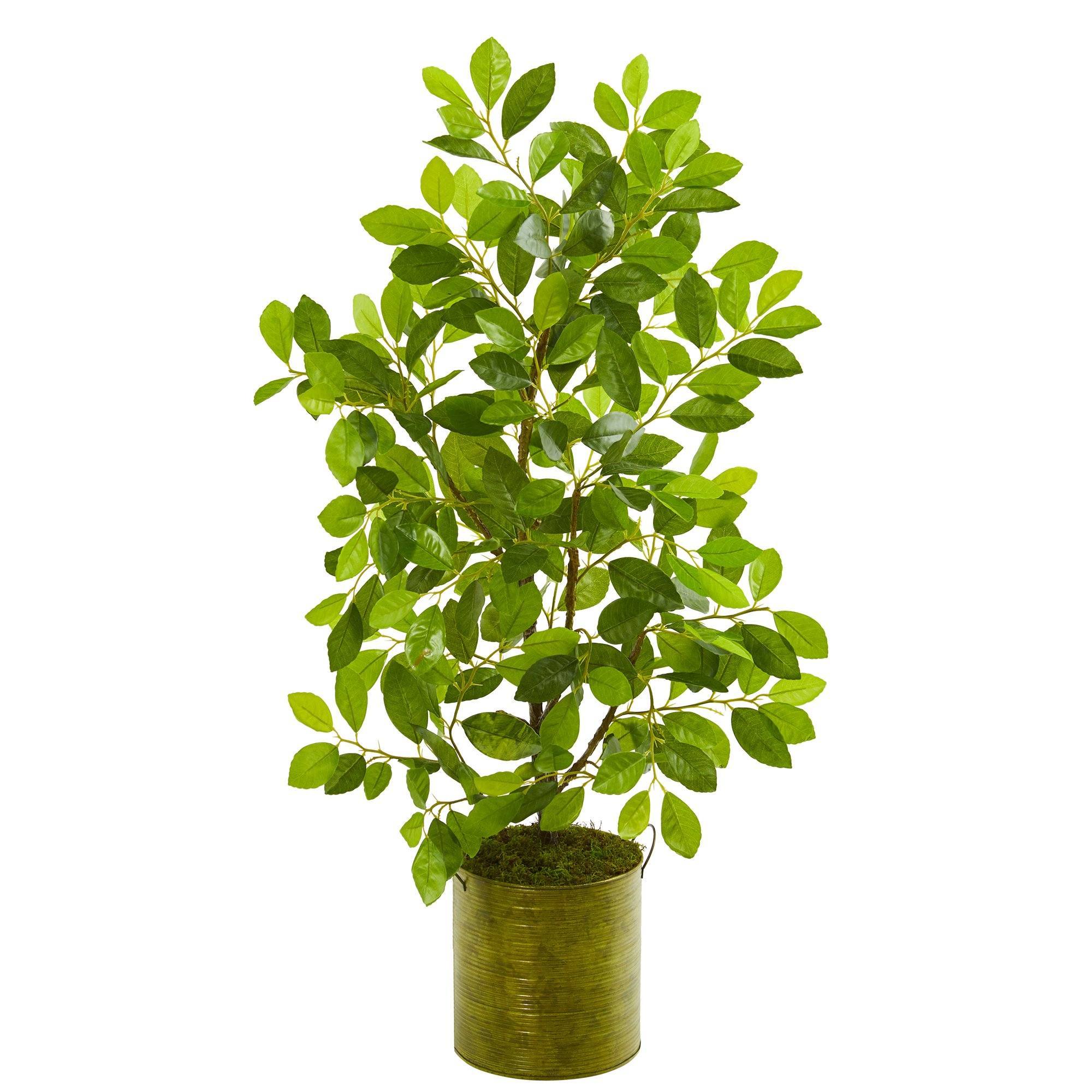37” Mini Ficus Artificial Tree in Green Planter | Nearly Natural
