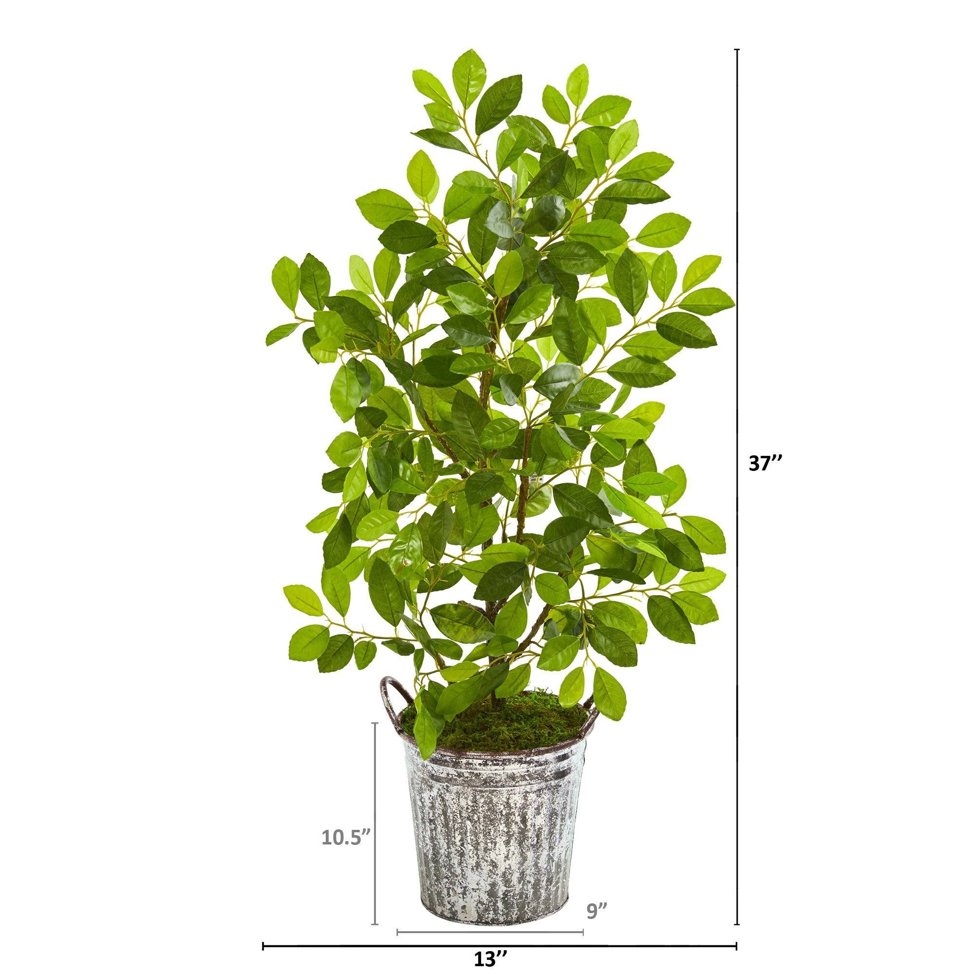 37” Mini Ficus Artificial Tree in White Washed Vintage Metal Pail ...