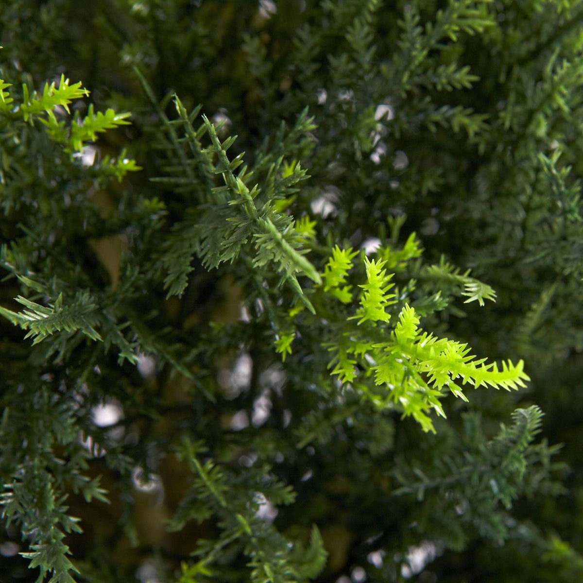 Silk Cypress Trees | Artificial Cypress Trees | Nearly Natural