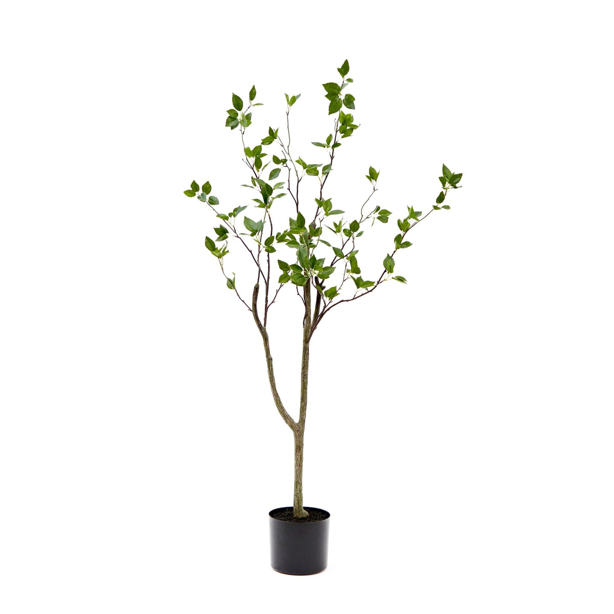 Artificial Citrus Trees | Faux Citrus Trees – Nearly Natural