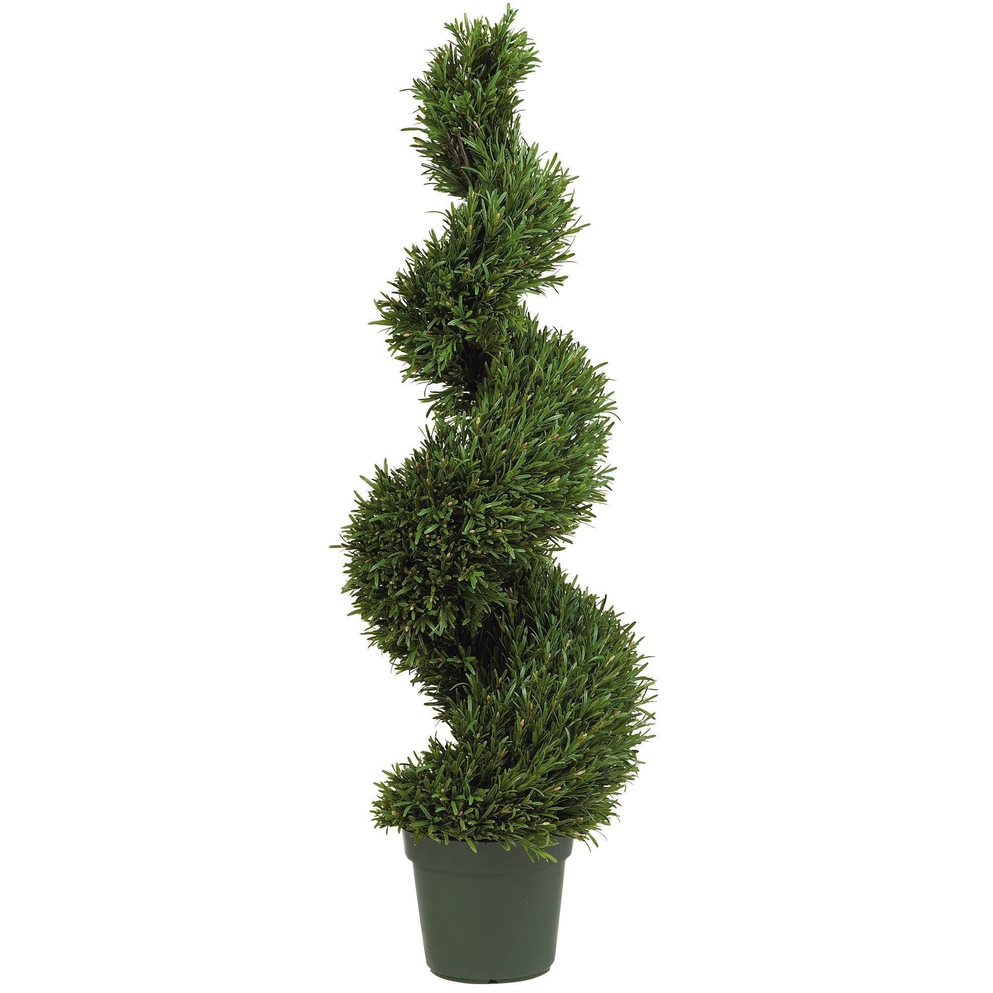 4' Rosemary Spiral Silk Tree (Indoor/Outdoor) | Nearly Natural