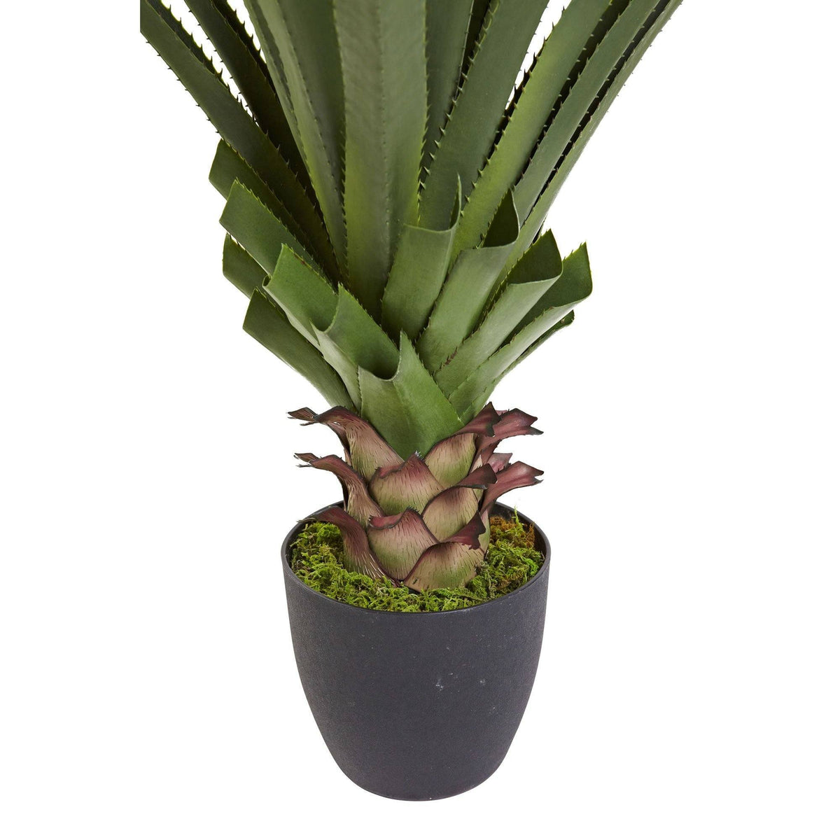 Fake Cactus Plants | Nearly Natural