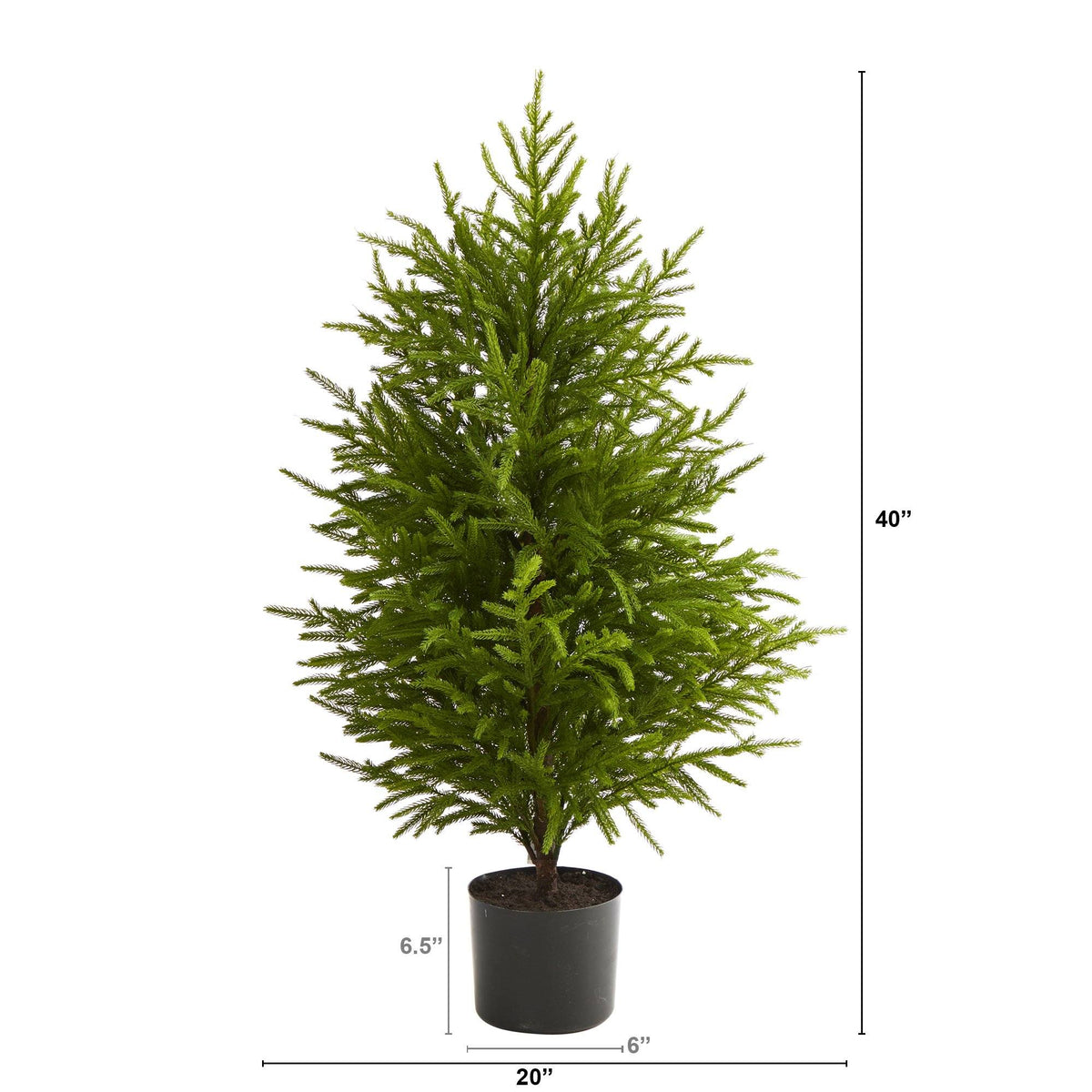 Norfolk Pine Trees | Nearly Natural